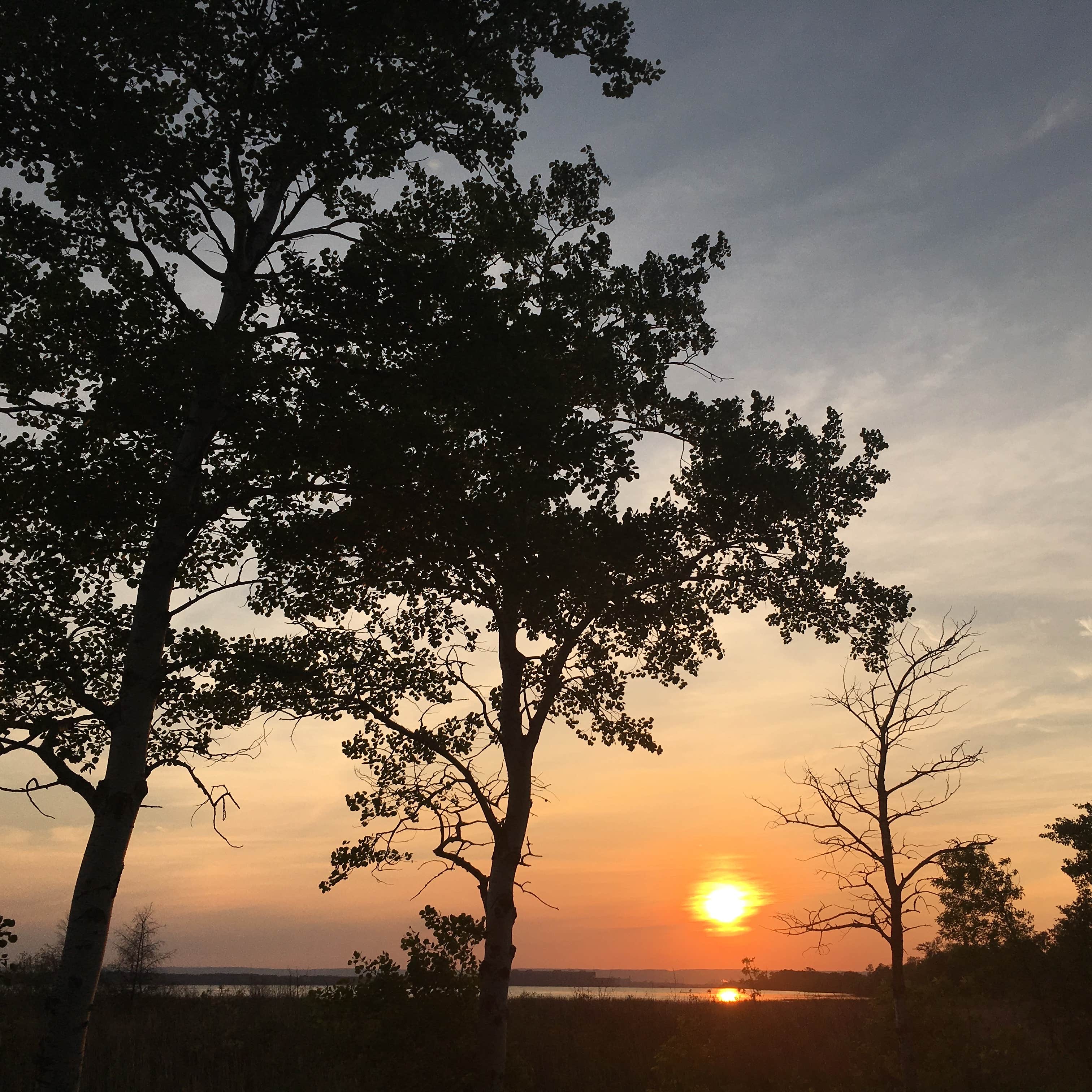 Superior National Forest Poplar River Rustic Campground | Lutsen, Minnesota