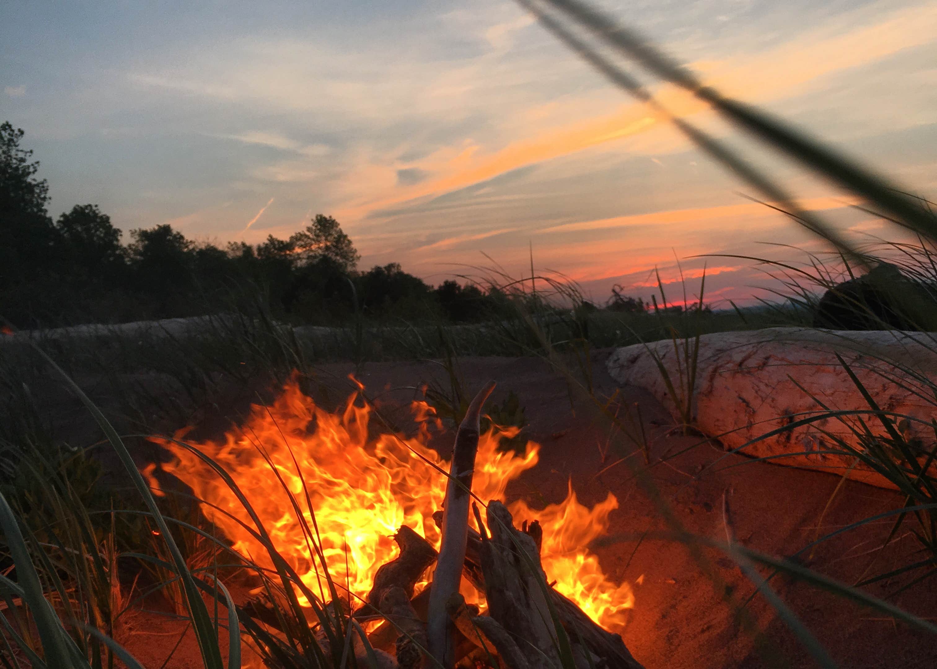 Superior National Forest Poplar River Rustic Campground Camping | The Dyrt