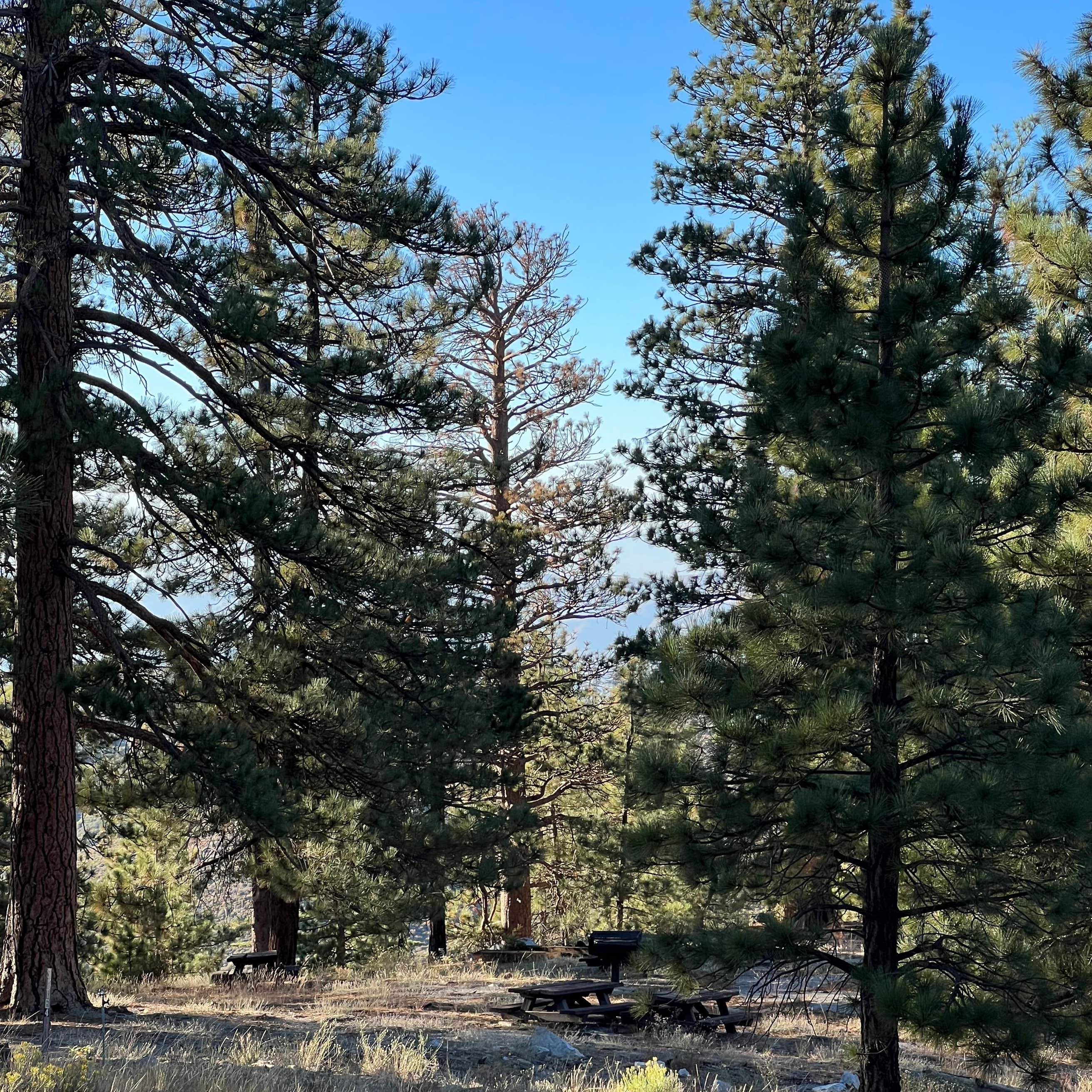 Lightning Point Group Campground | Acton, California