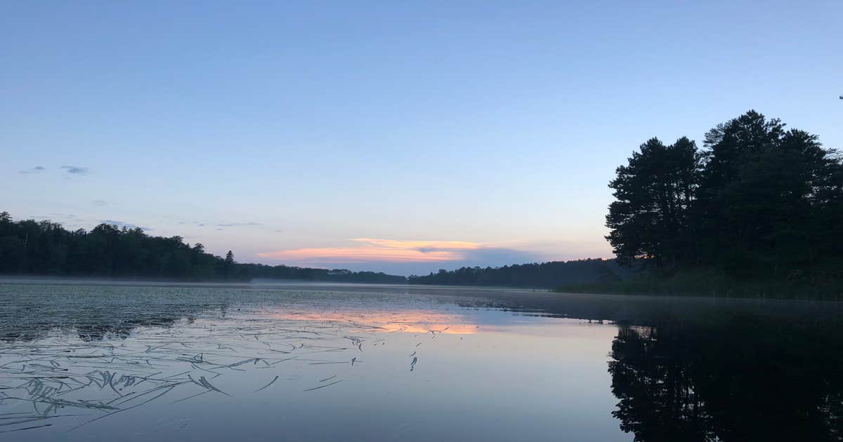 Section 29 Lake Rustic Campground | Finland, Minnesota
