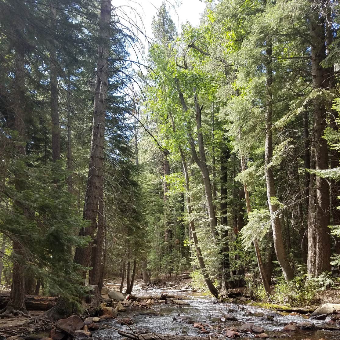 Aspen Campground Camping | The Dyrt