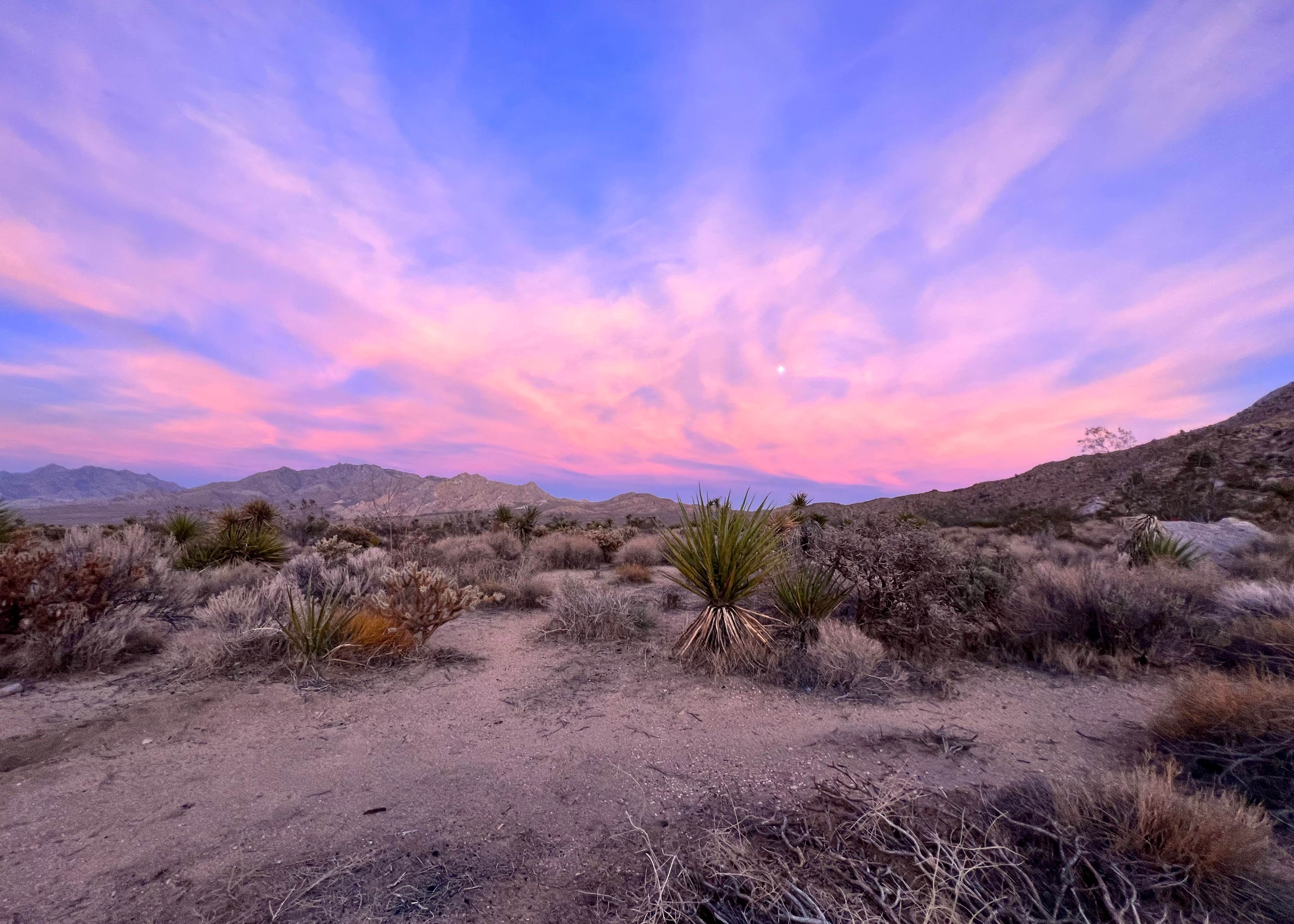 Granite Pass Dispersed Roadside Camping Camping | The Dyrt