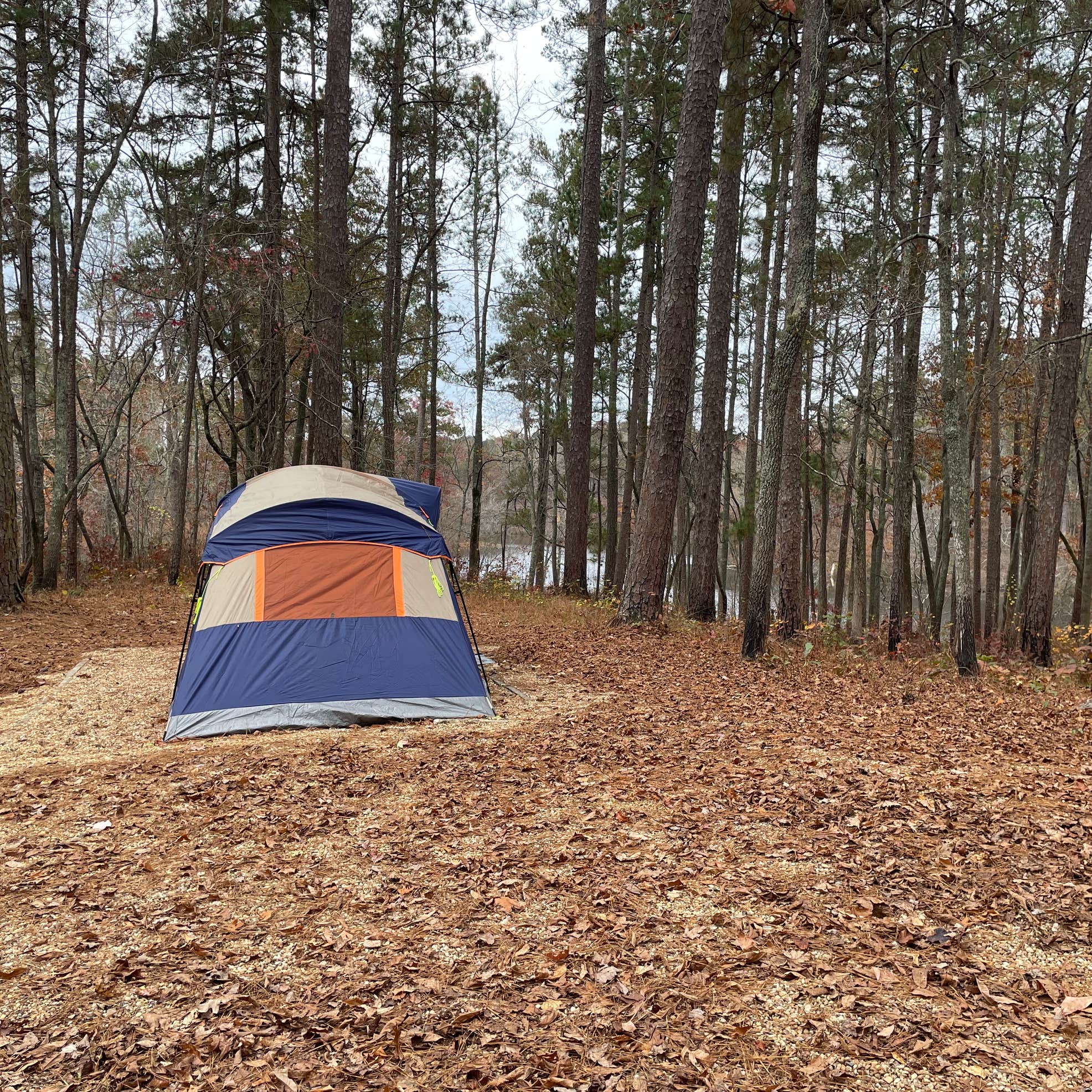Coleman Lake Rec Area Camping | The Dyrt