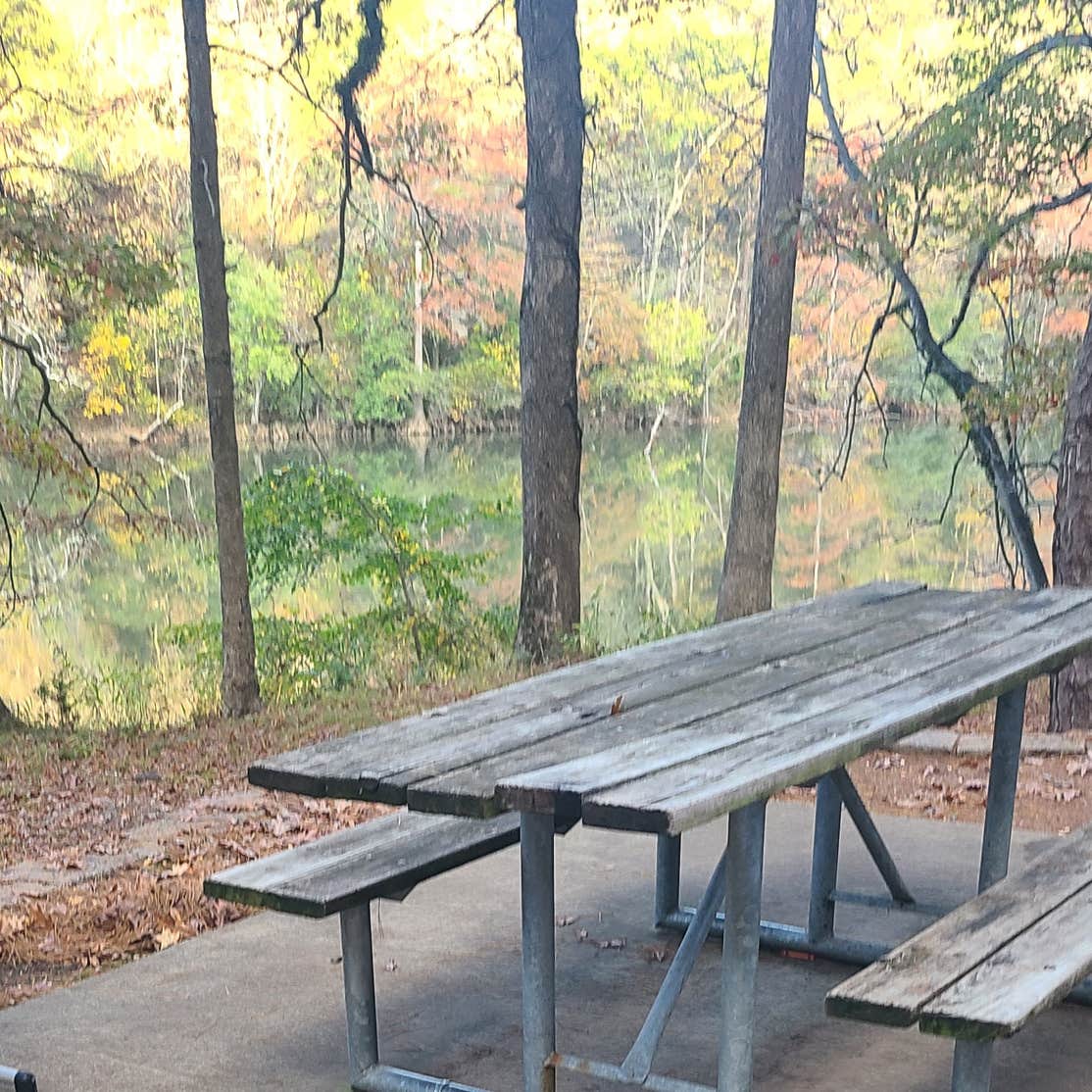 Acorn Campground — Beavers Bend State Park | Broken Bow, OK