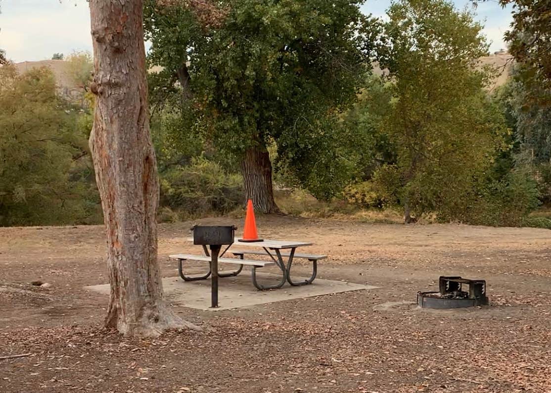 Kern River Campground Camping | The Dyrt