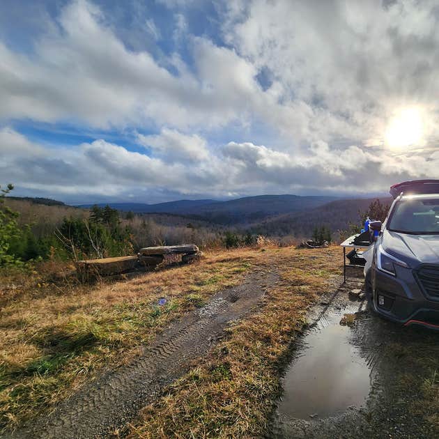 Dispersed camping at Mower Basin Camping | The Dyrt