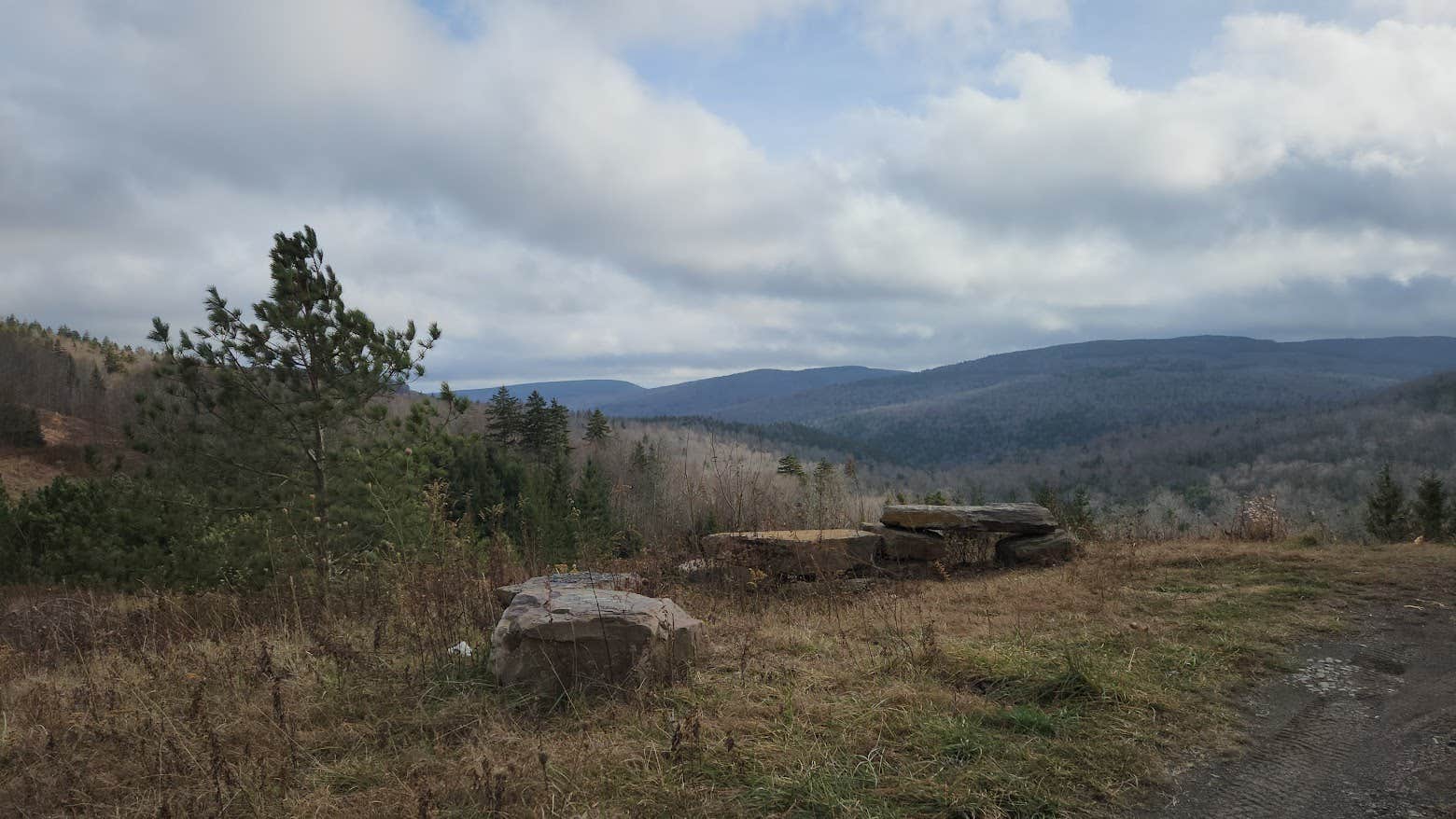 Dispersed camping at Mower Basin | Durbin, WV