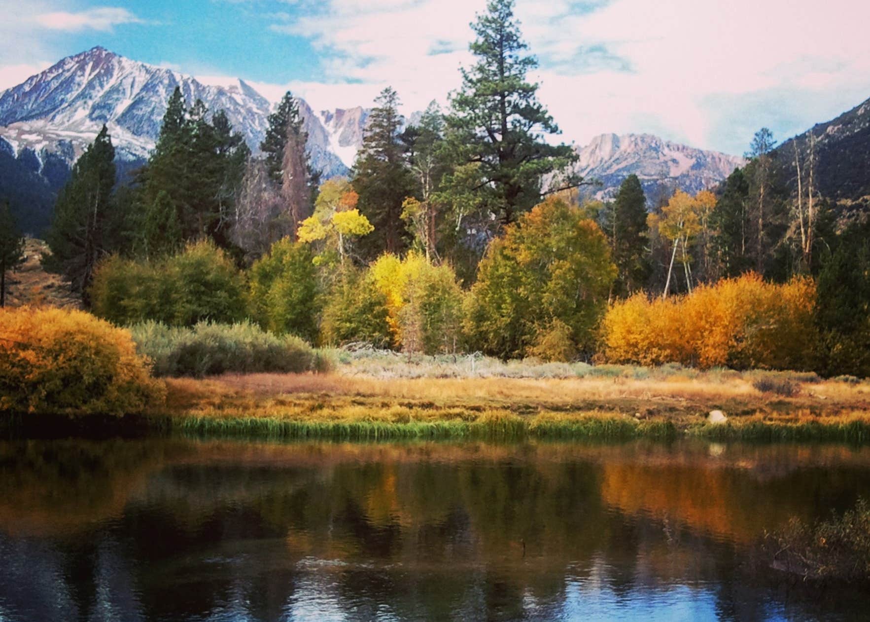 Aspen Campground Camping | The Dyrt