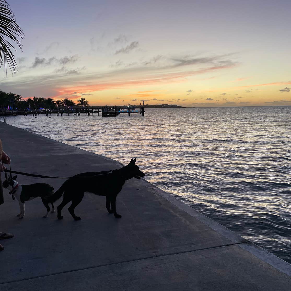 Jolly Roger RV Resort | Marathon Shores, Florida