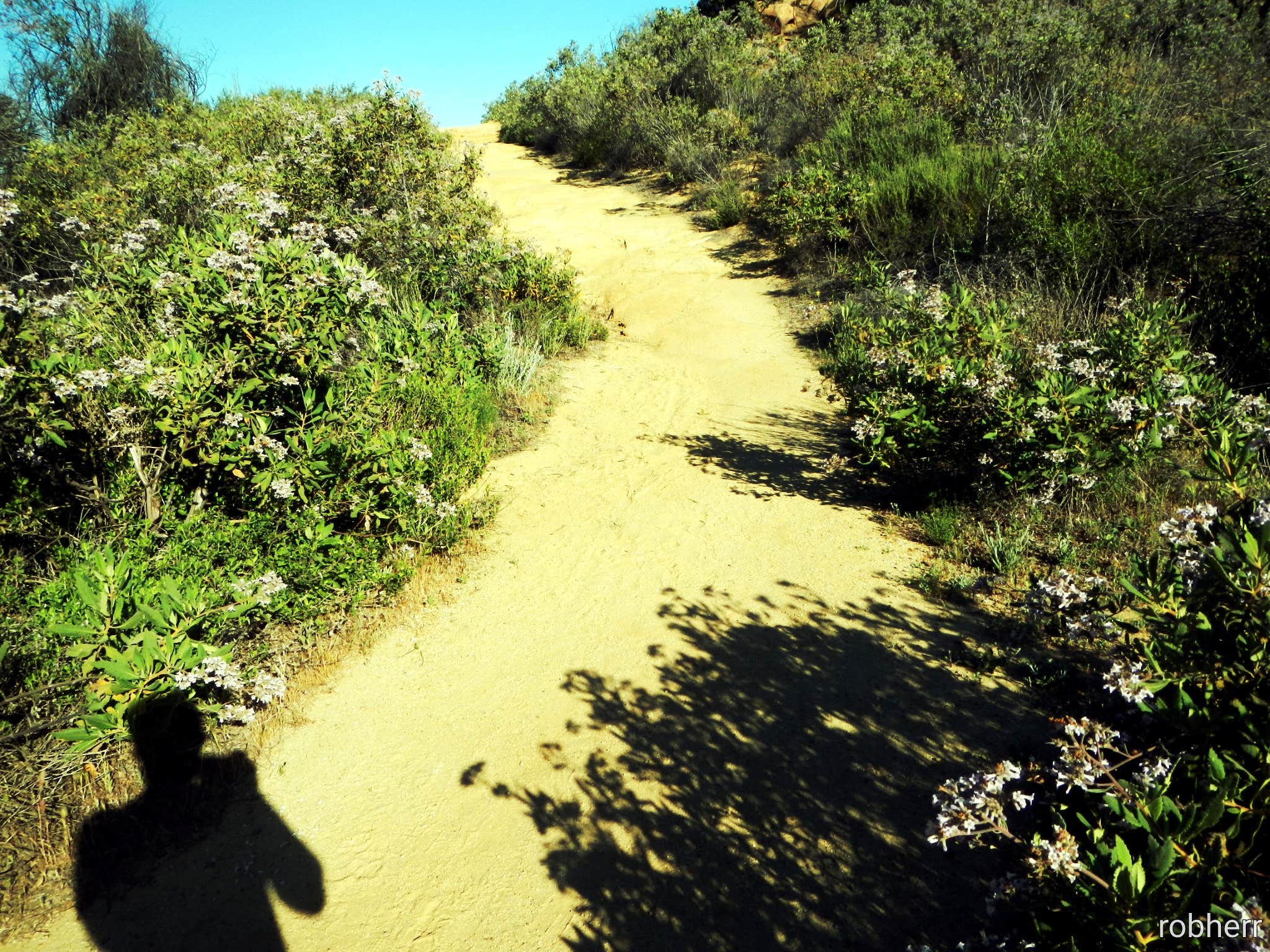 Sage Ranch - Mountains Recreation and Conservation Authority Camping ...