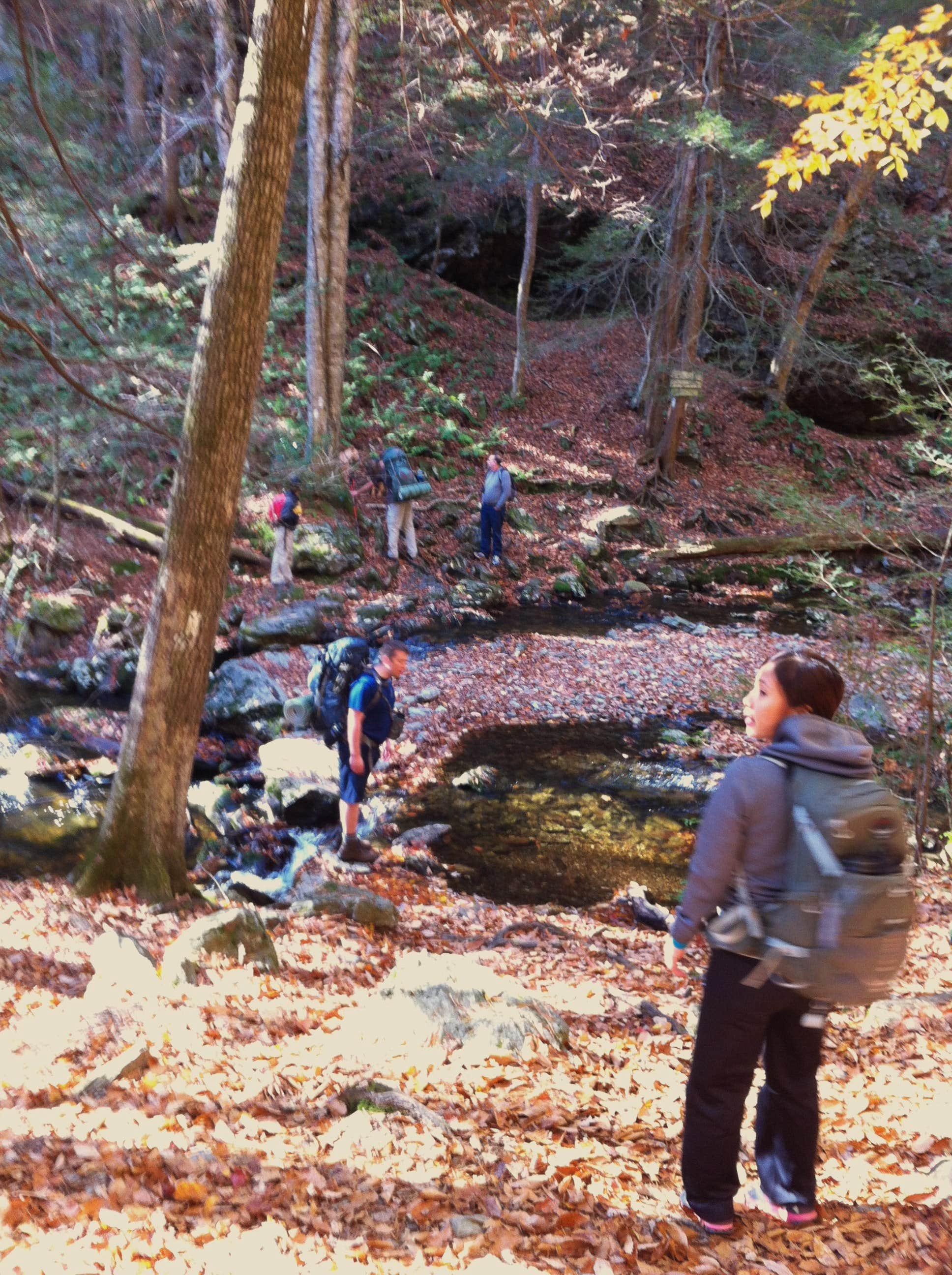 Laurel Ridge — Mount Everett State Reservation Camping | Taconic, MA