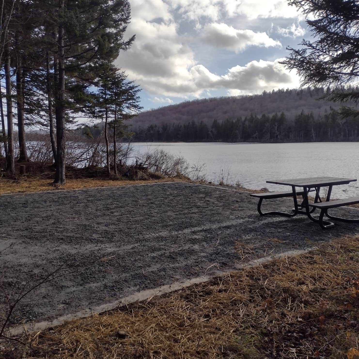 Grout Pond Campground — Green Mountain & Finger Lakes National Forests ...