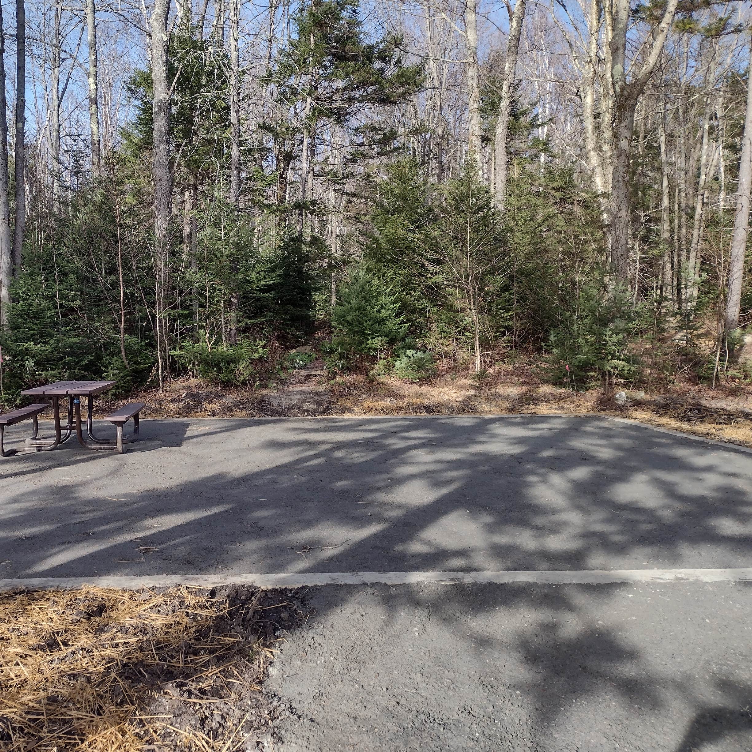Grout Pond Campground — Green Mountain & Finger Lakes National Forests ...