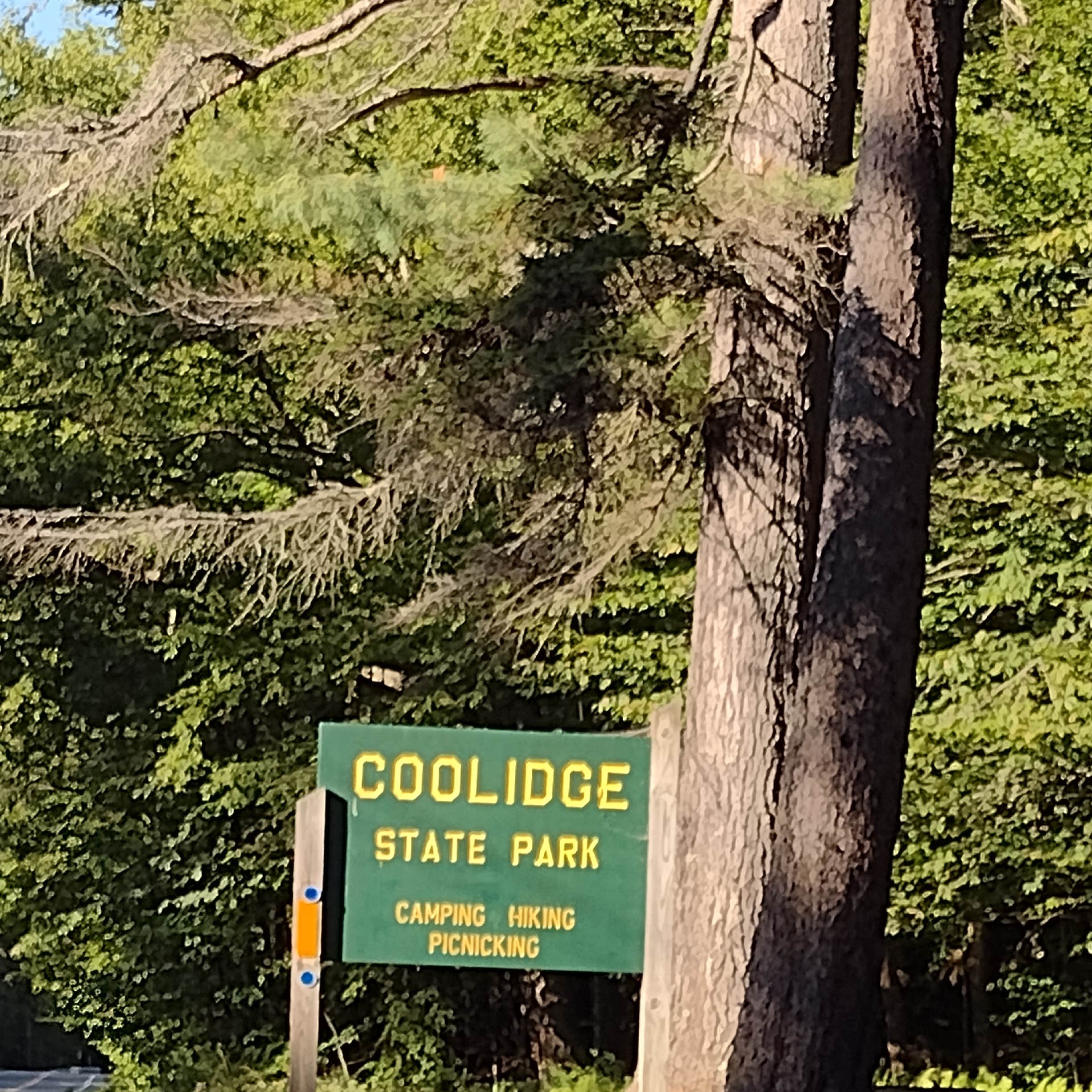 Coolidge State Park Campground | Plymouth, Vermont