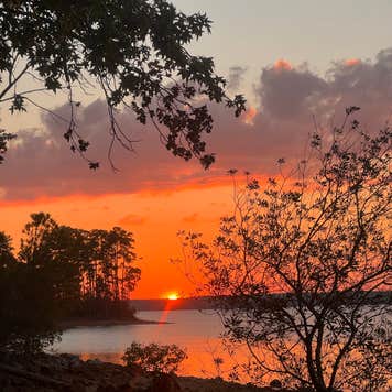 Hamilton Branch State Park Campground | Modoc, South Carolina