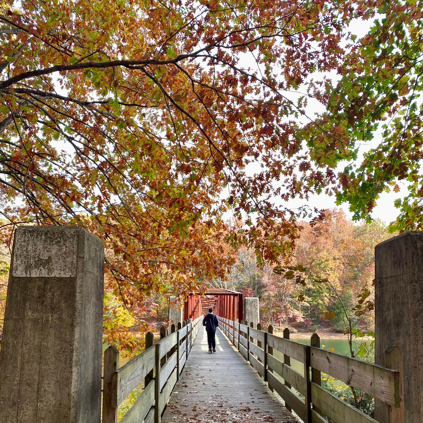 Tims Ford State Park Main Campground — Tims Ford State Park | Belvidere ...