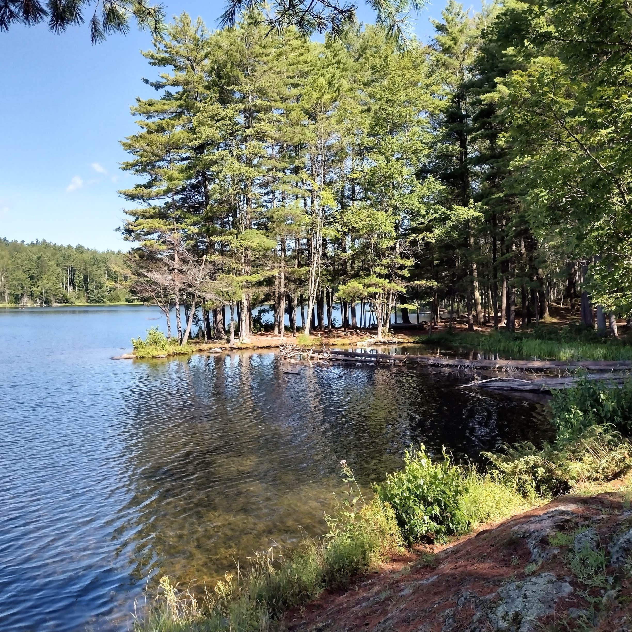 Indian Brook Reservoir Camping | The Dyrt