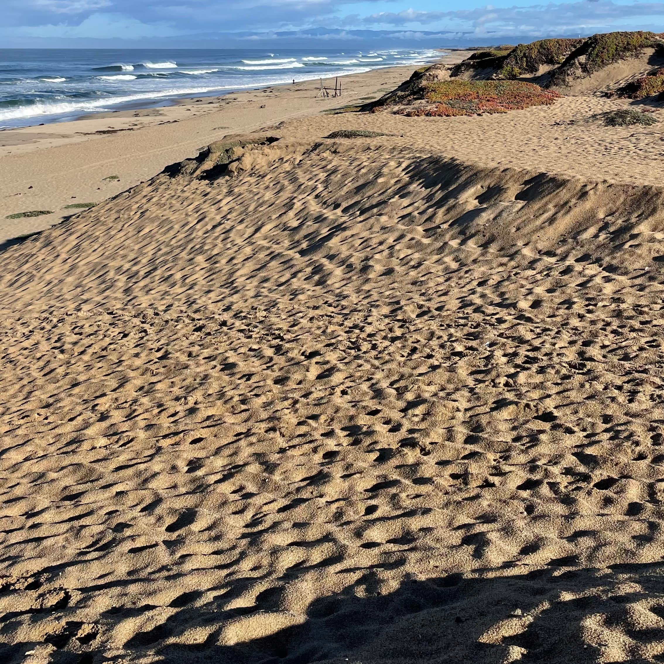 Marina Dunes RV Park Camping | The Dyrt