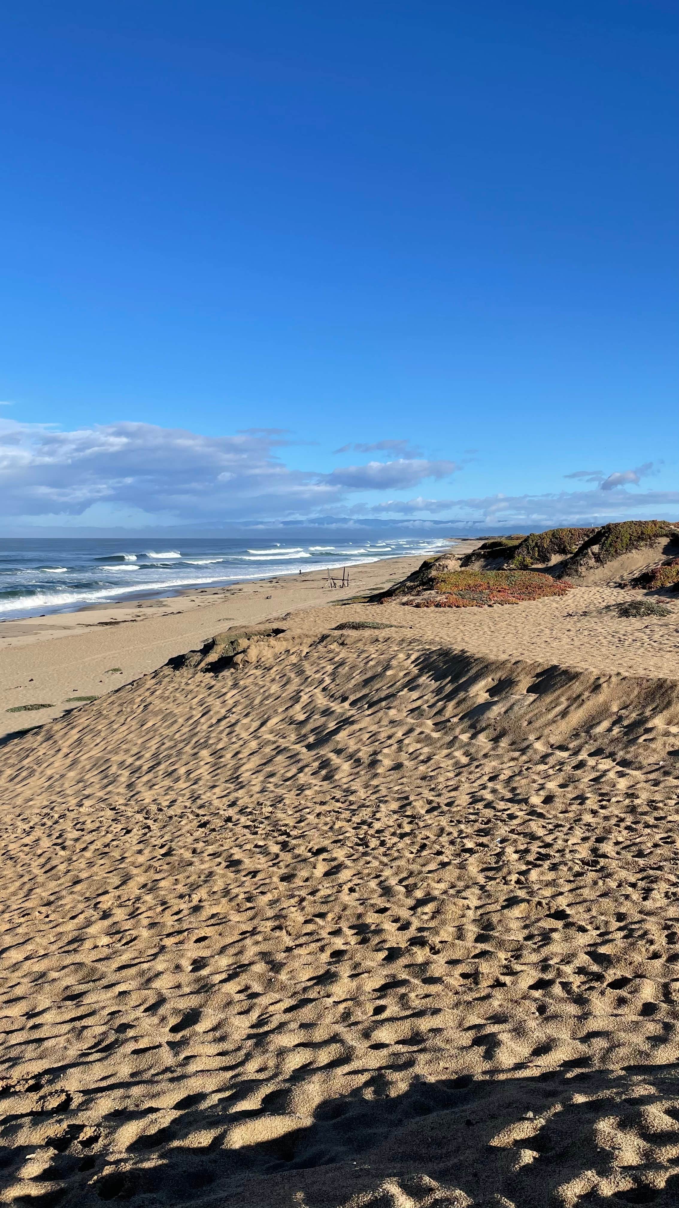 Marina Dunes RV Park | Marina, California