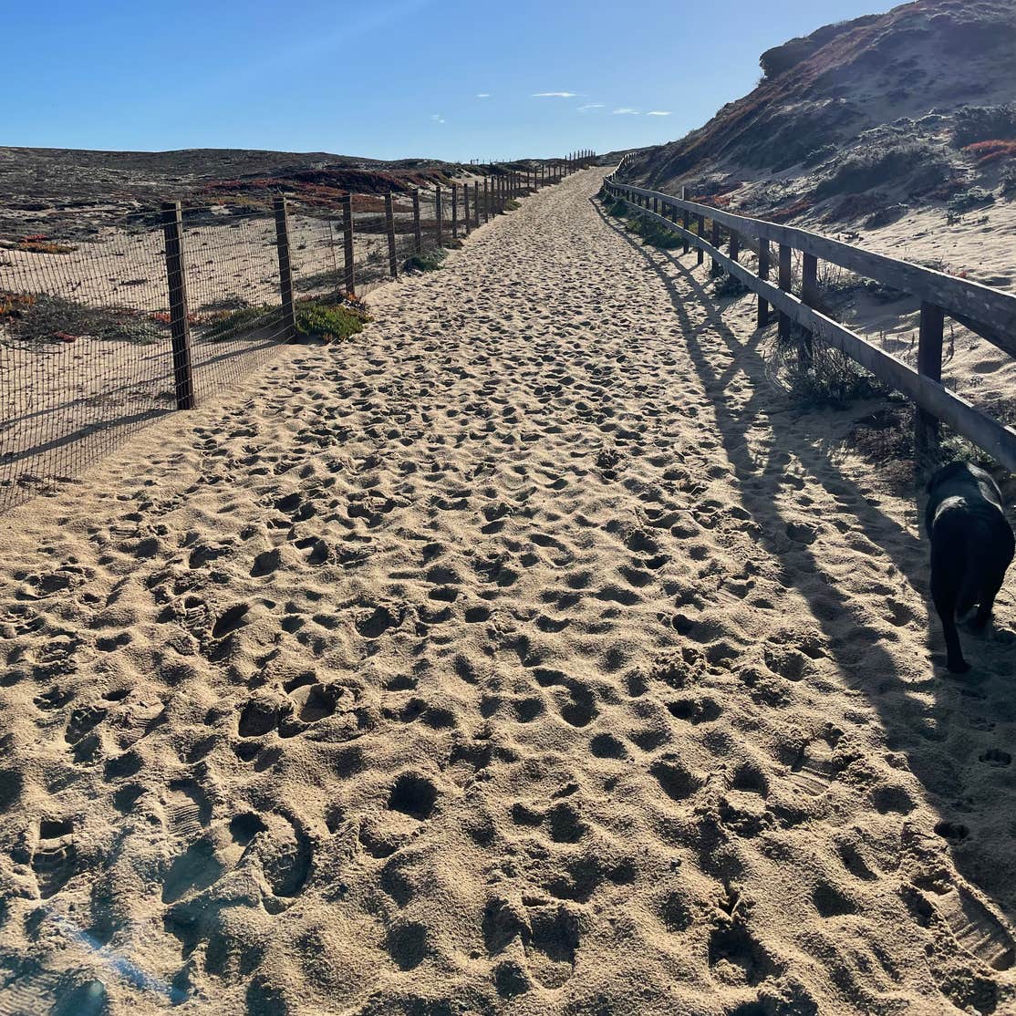 Marina Dunes RV Park | Marina, California