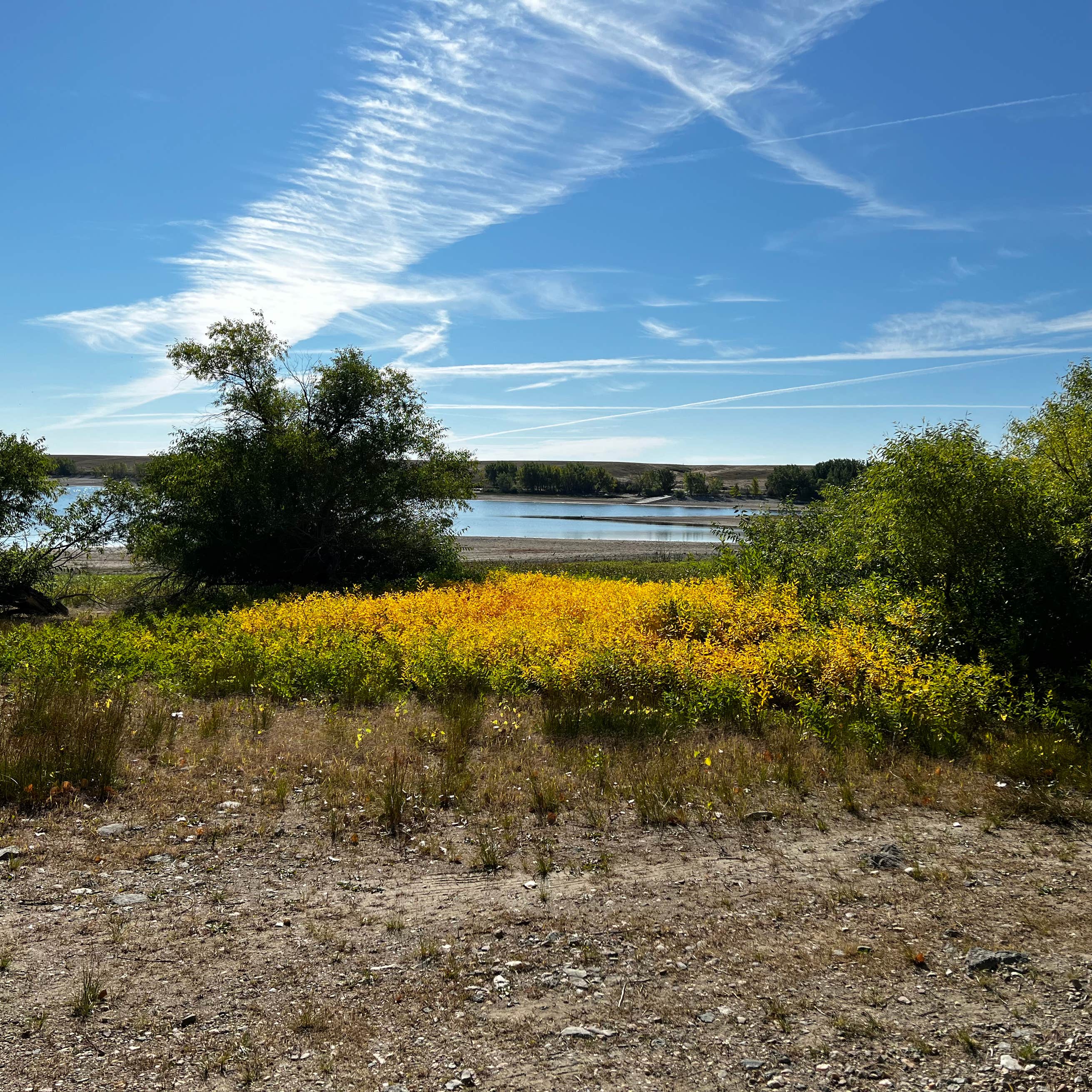 Bosque Redondo Park Camping | The Dyrt