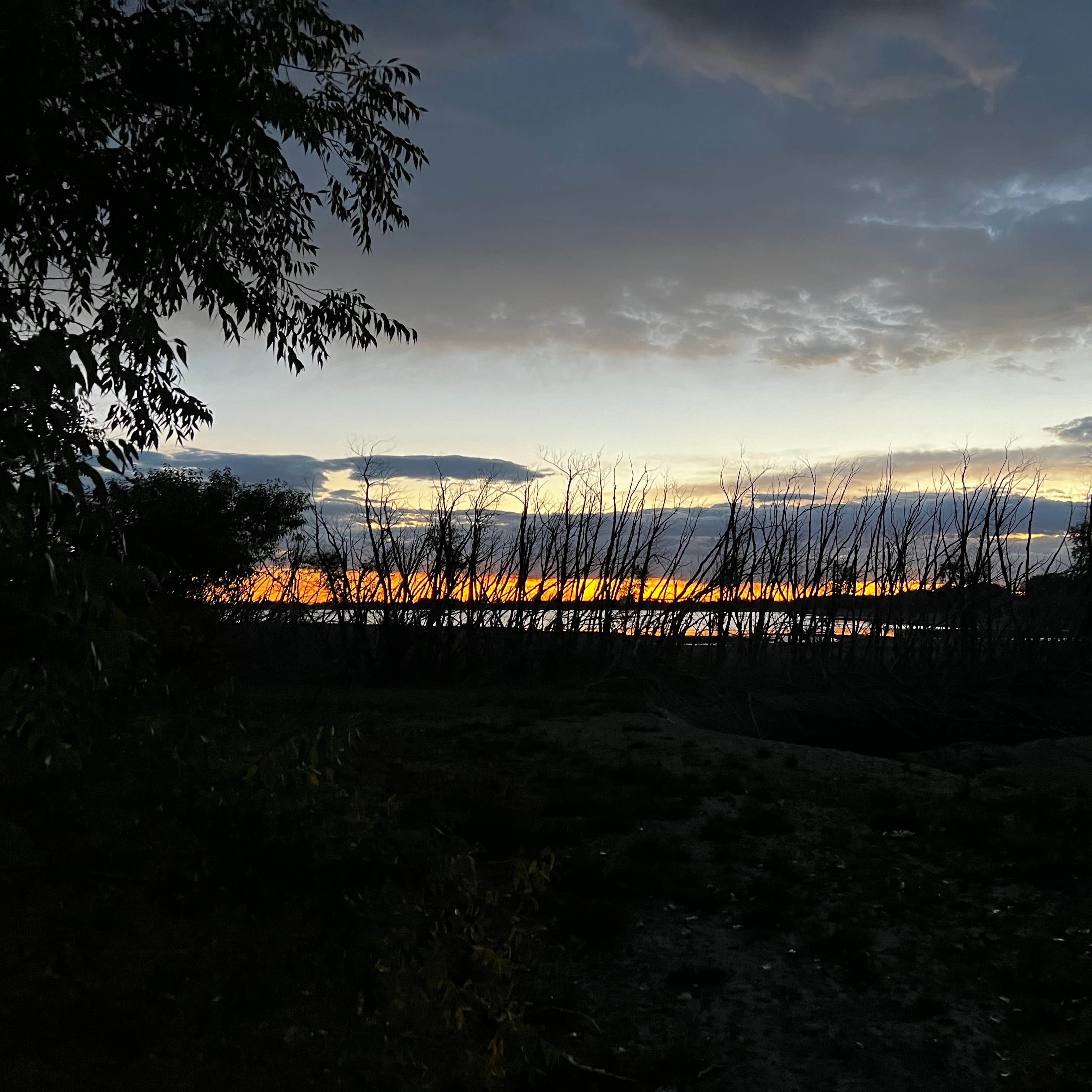 Bosque Redondo Park Camping | The Dyrt