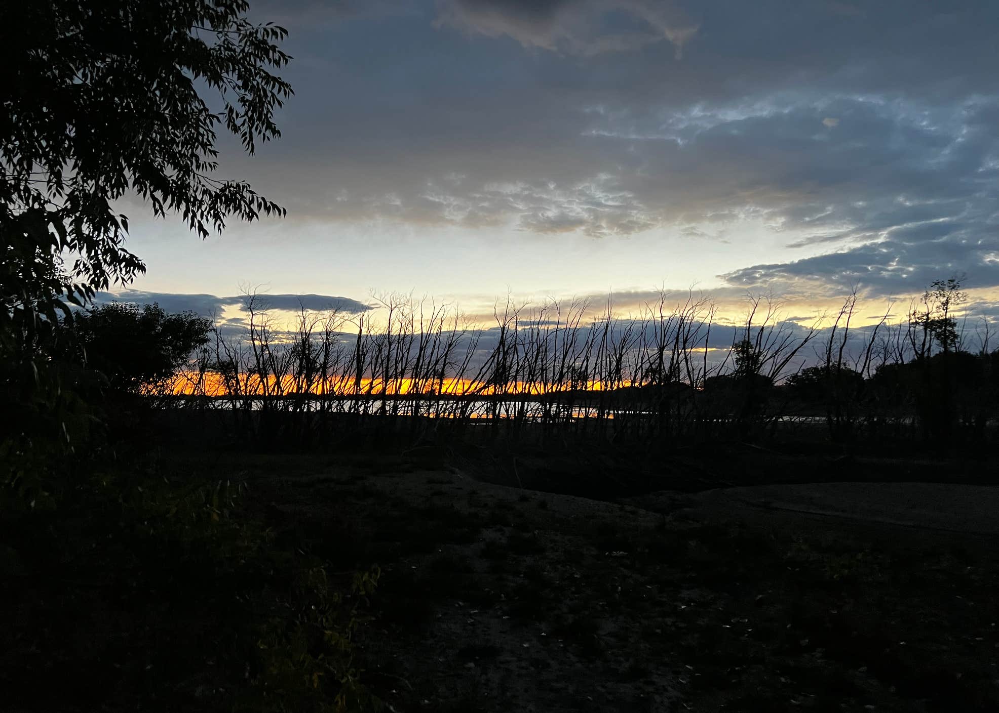 Bosque Redondo Park Camping | The Dyrt