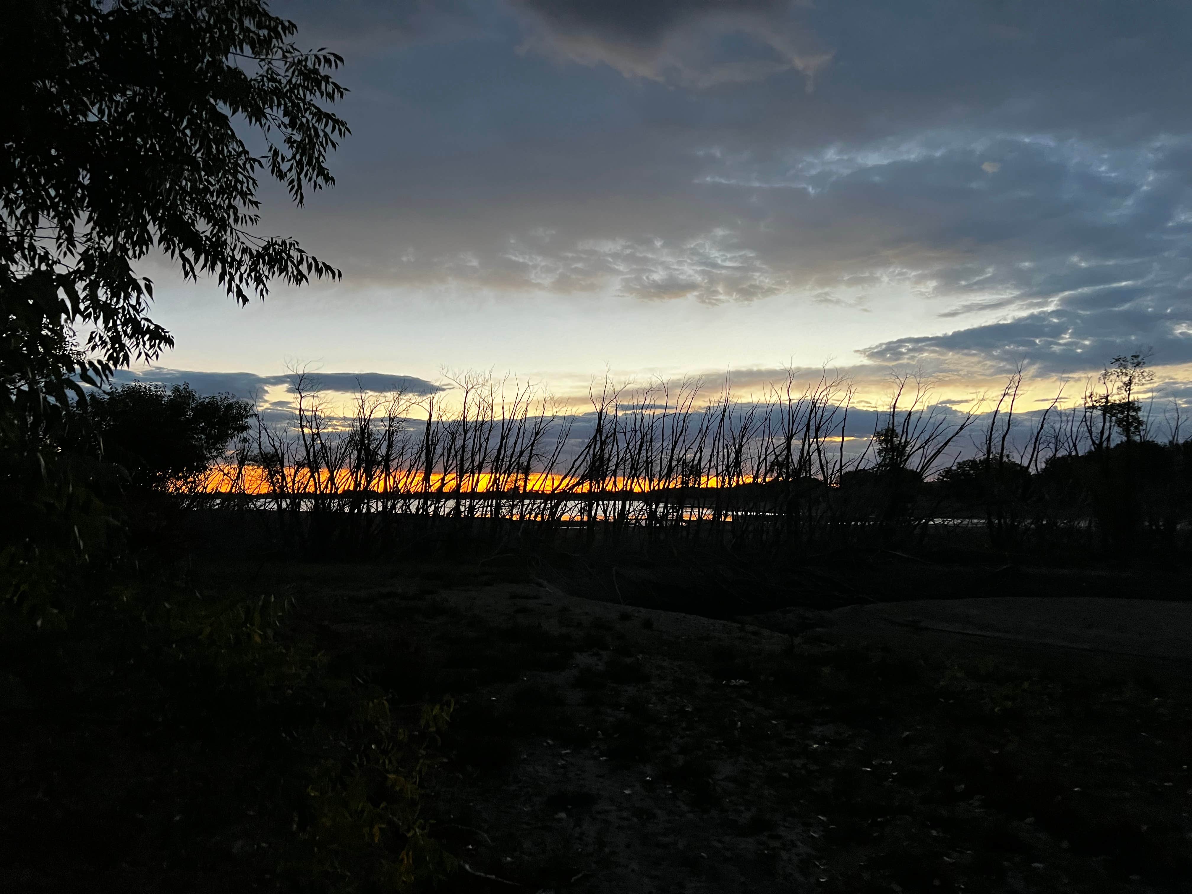 Bosque Redondo Park Camping | Fort Sumner, NM