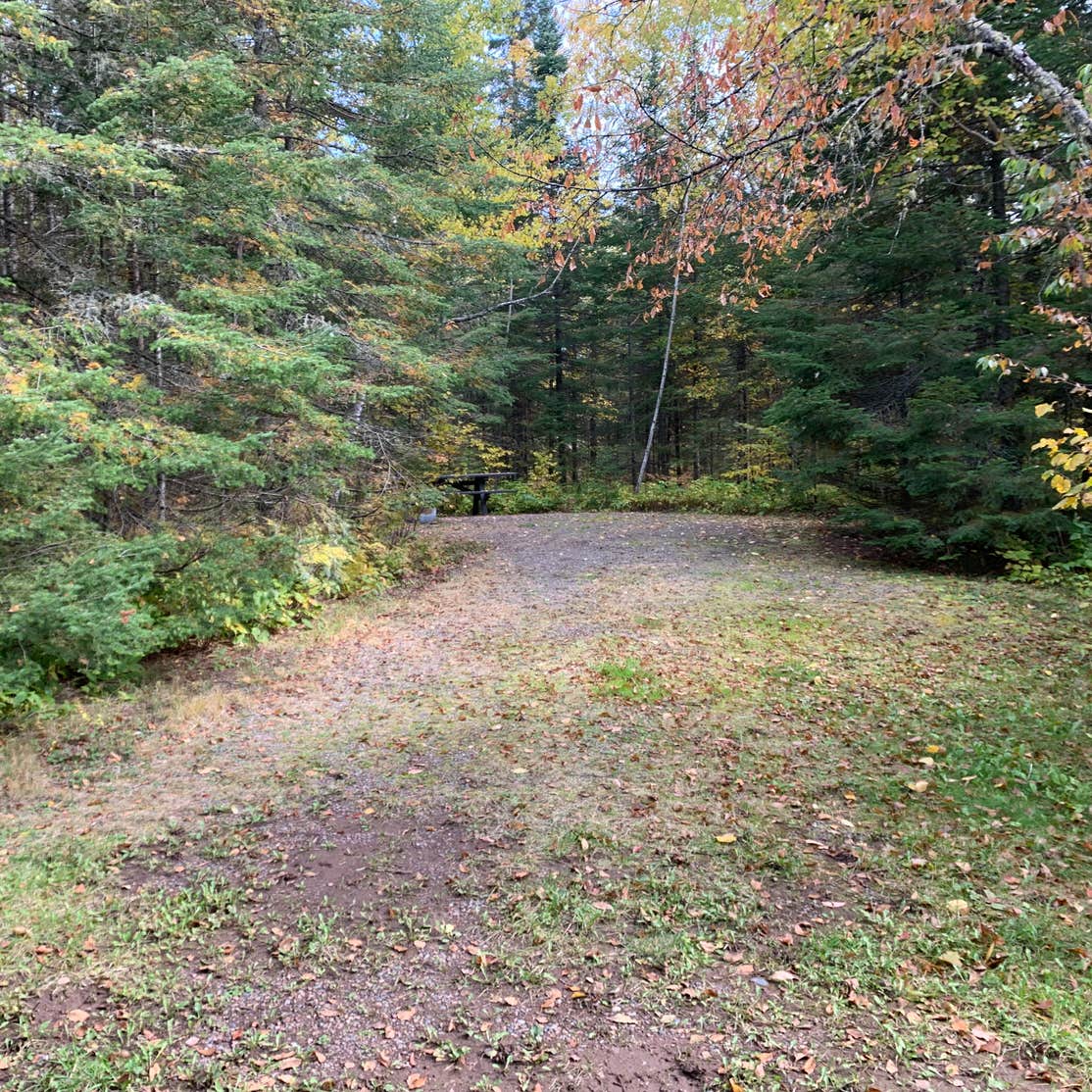 Two Island Lake Campground | Grand Marais, MN