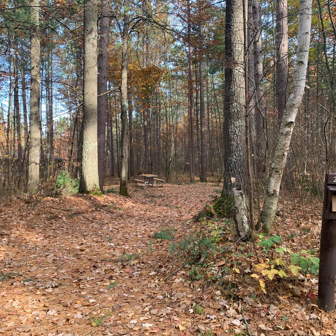 Firefly Lake — Northern Highland State Forest Camping | Sayner, WI