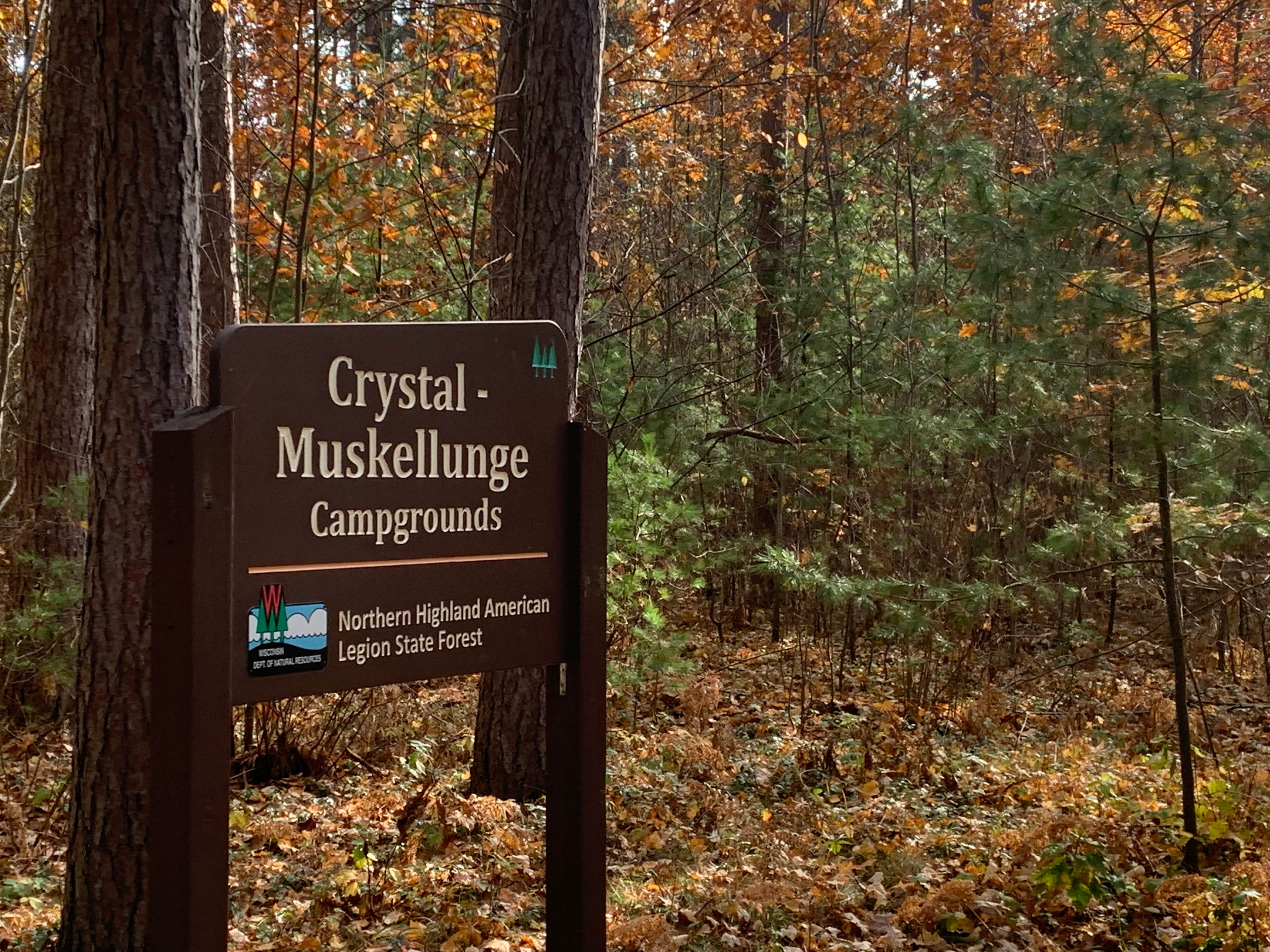 Crystal Lake Campground — Northern Highland State Forest | Sayner, WI