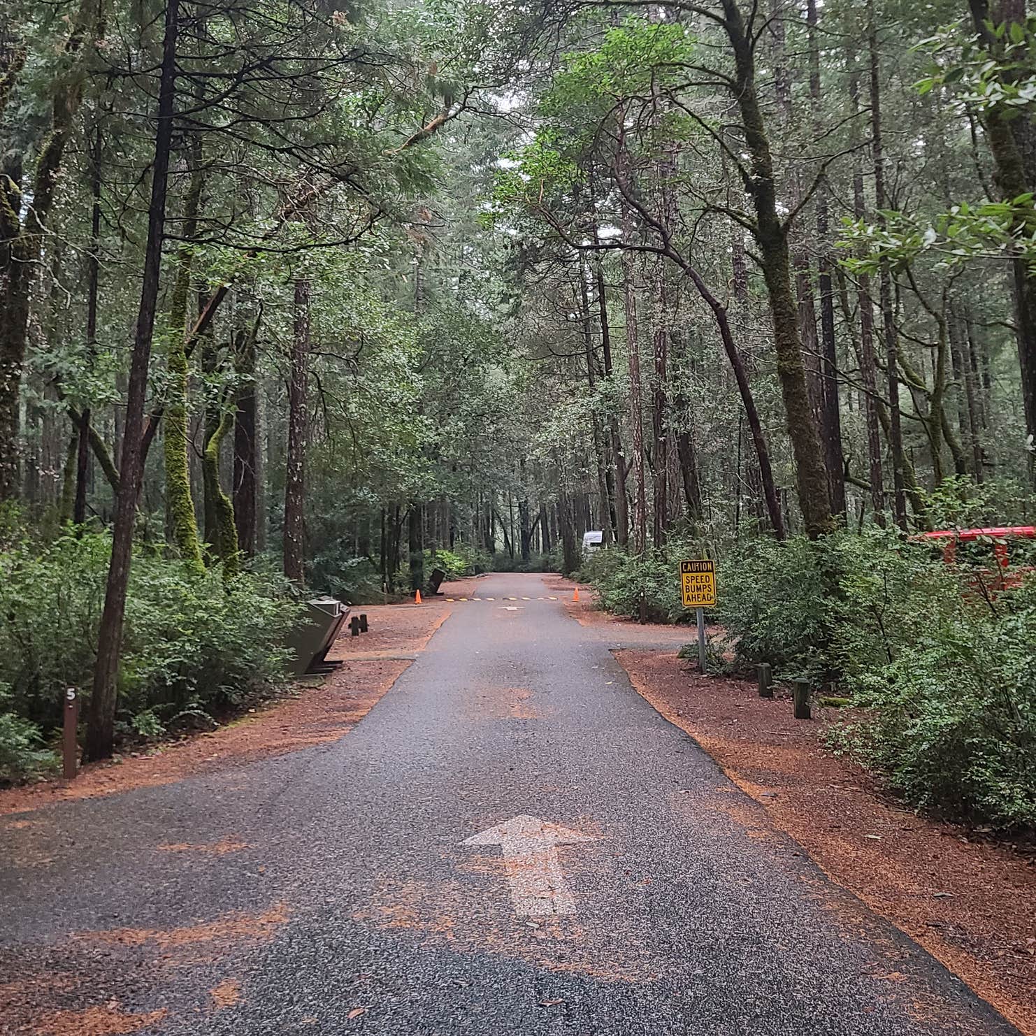Panther Flat Campground | Gasquet, California