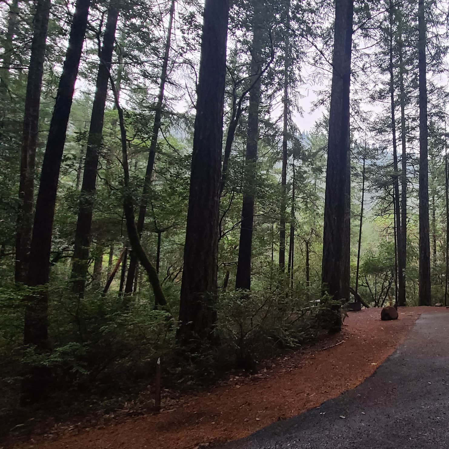 Panther Flat Campground | Gasquet, CA