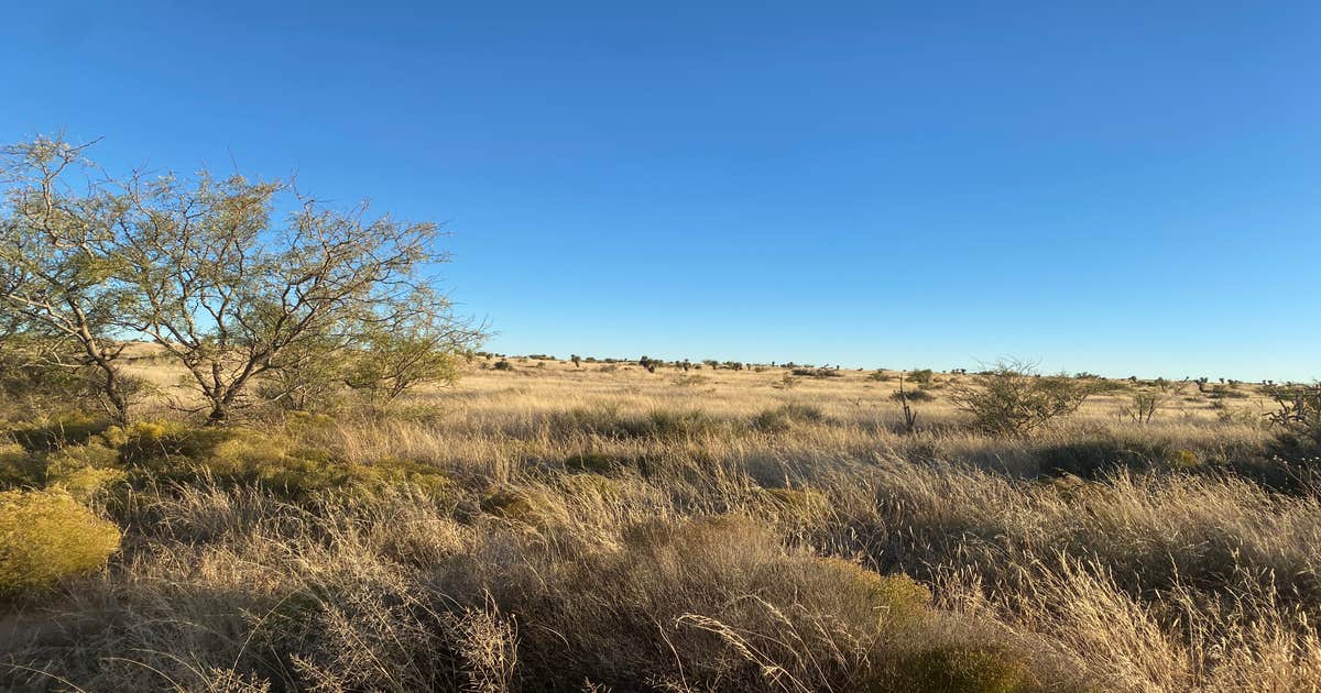 Forrest Hollow Ranch - Desert Campsites | Salt Flat, Texas
