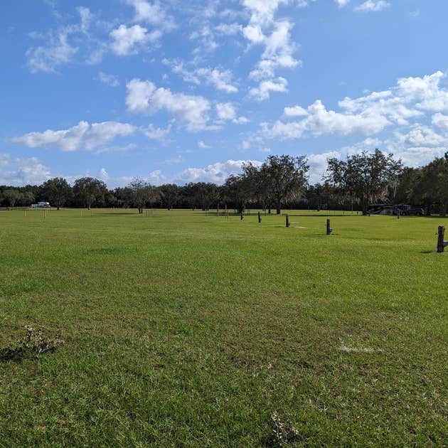 Withlacoochee River Park Camping | Dade City, FL