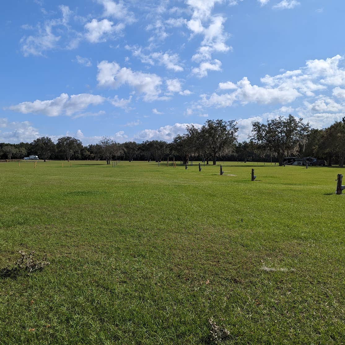 Withlacoochee River Park Camping | Dade City, Florida