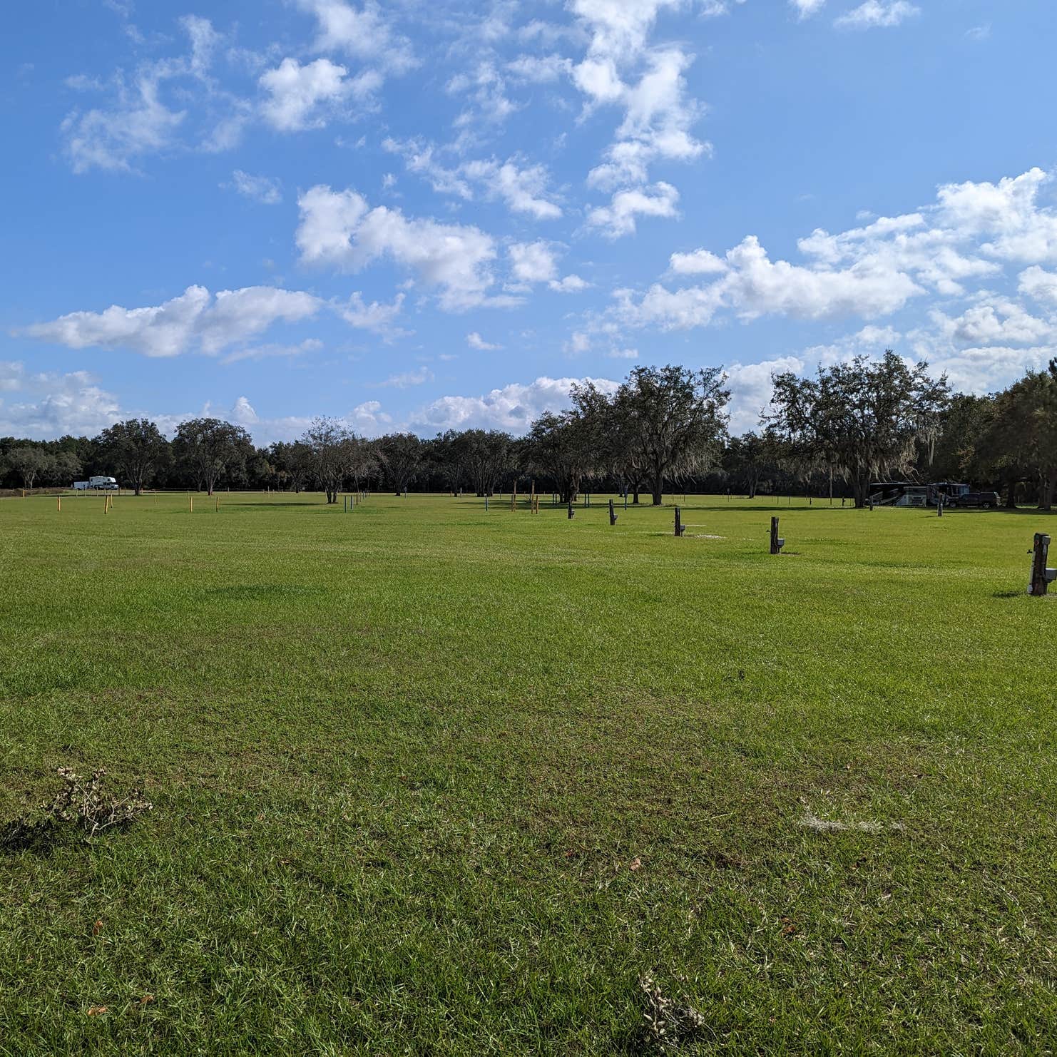 Withlacoochee River Park Camping | Dade City, Florida