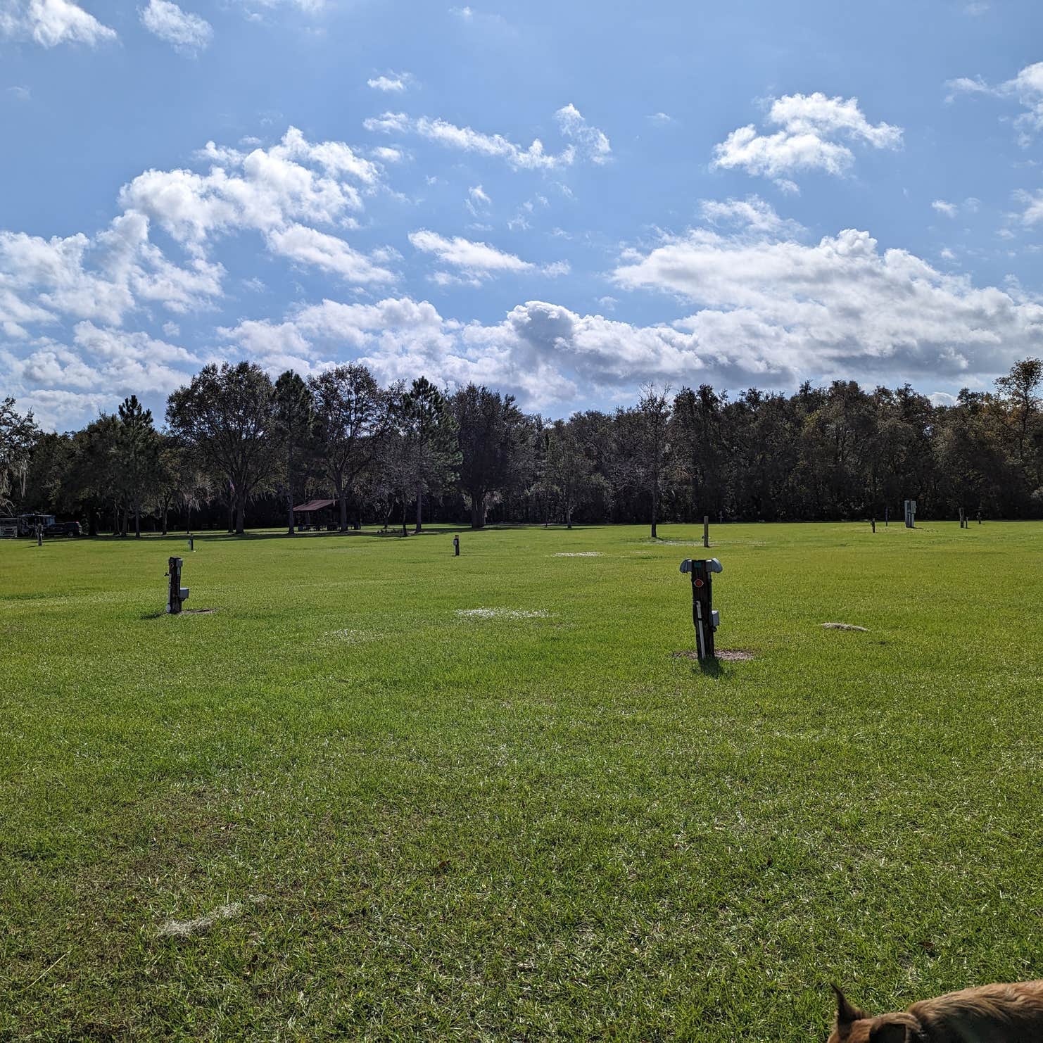 Withlacoochee River Park Camping | Dade City, Florida