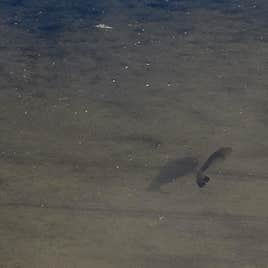 Lake Olancha RV Park & Campground / Westside of Death Valley Camping ...