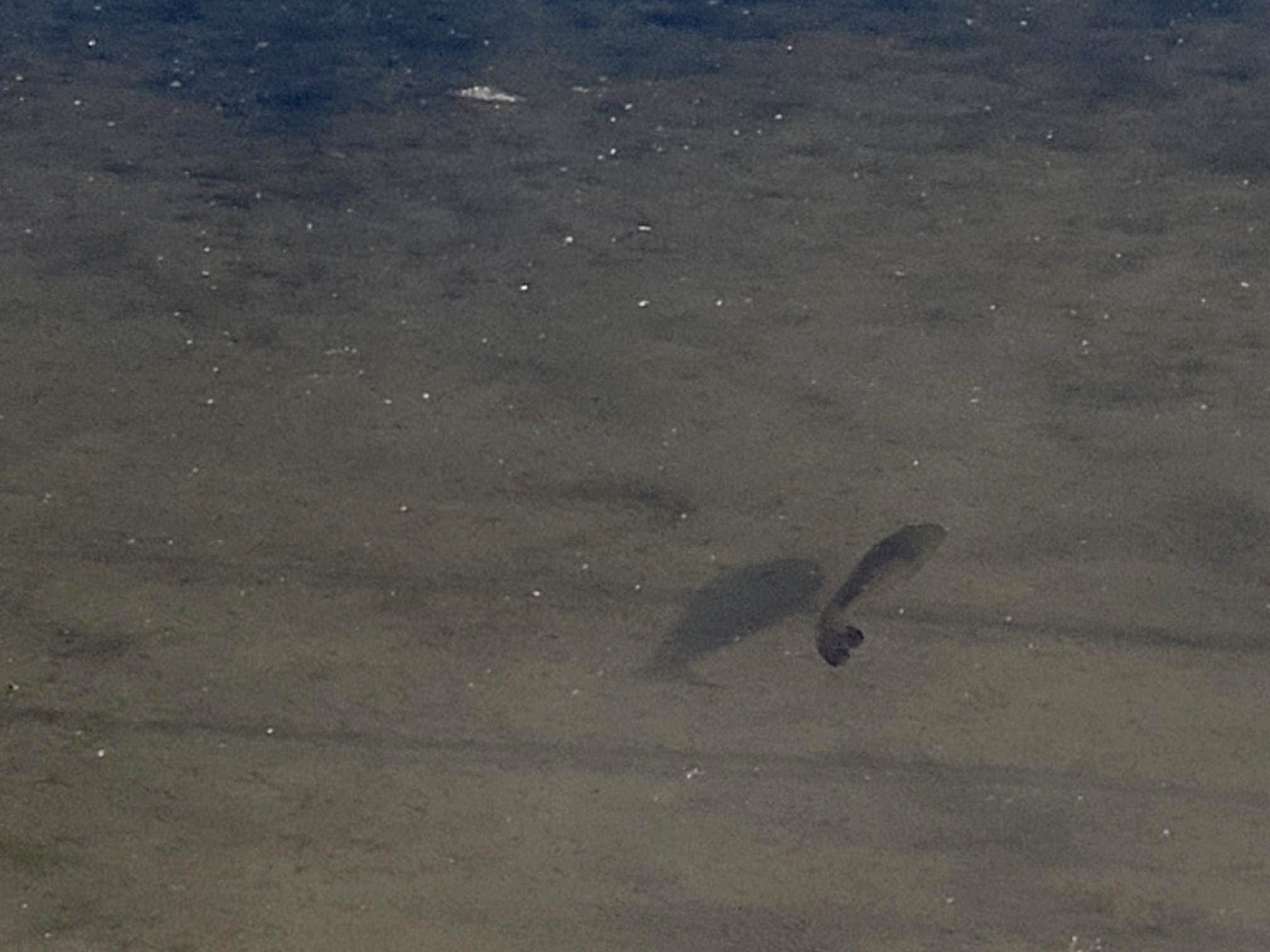 Lake Olancha RV Park & Campground / Westside of Death Valley | Olancha, CA