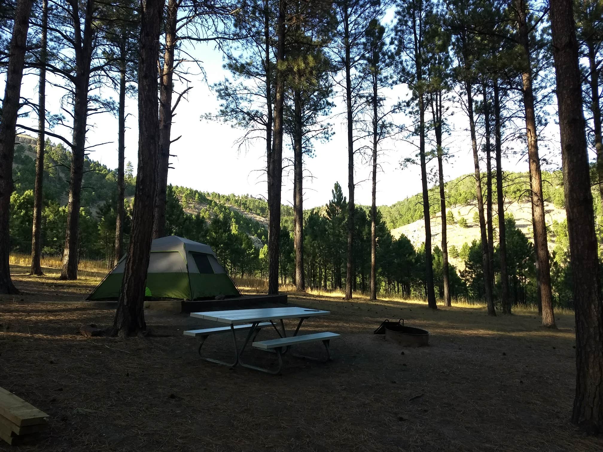 Blue Bell Campground — Custer State Park | Custer, South Dakota