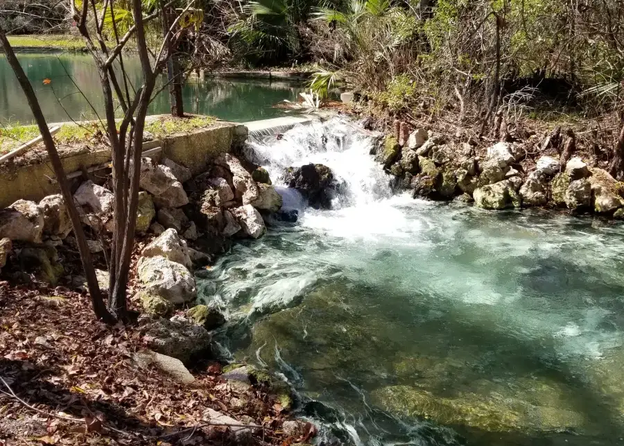 Camp Seminole Springs Camping | The Dyrt