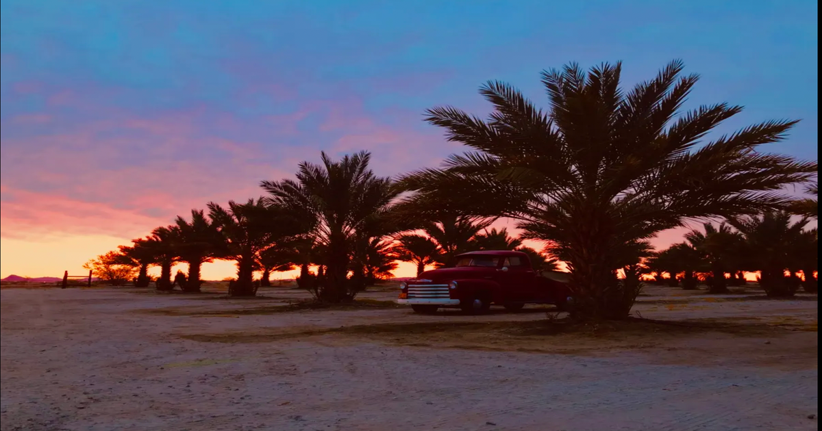 Organic Date Farm Camping | Wellton, AZ