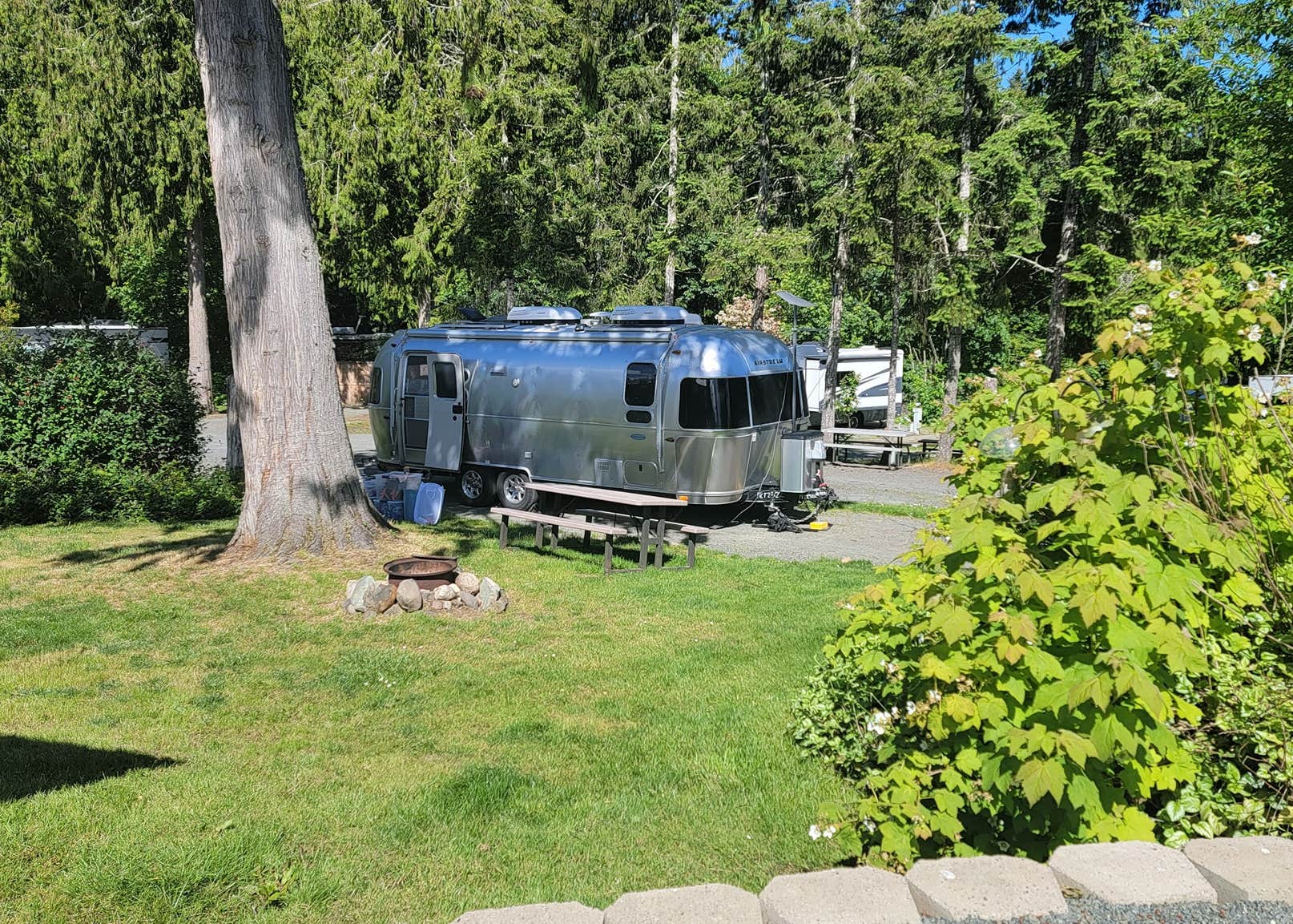 Elwha Dam RV Park Camping | The Dyrt