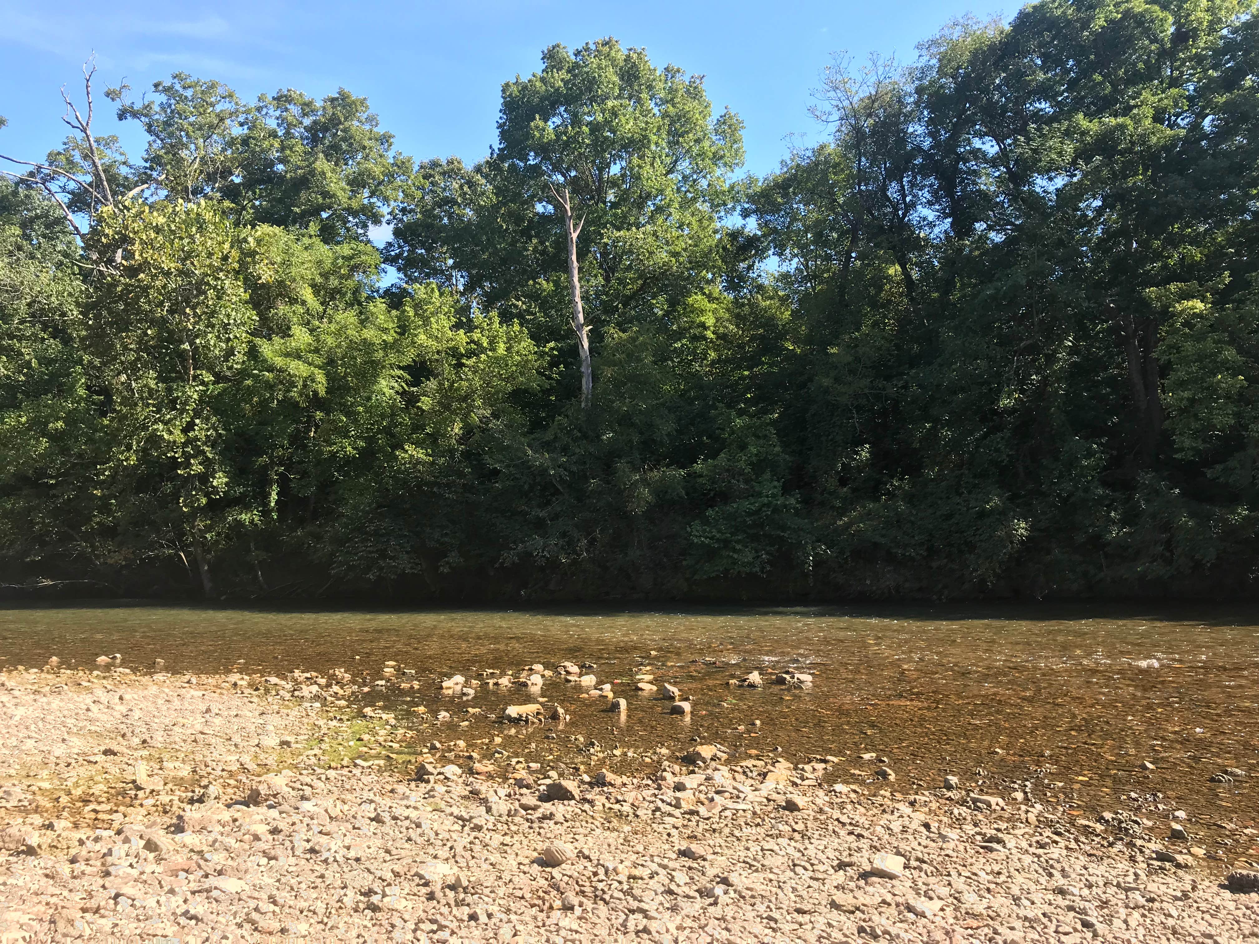 Pulltite Campground | The Dyrt