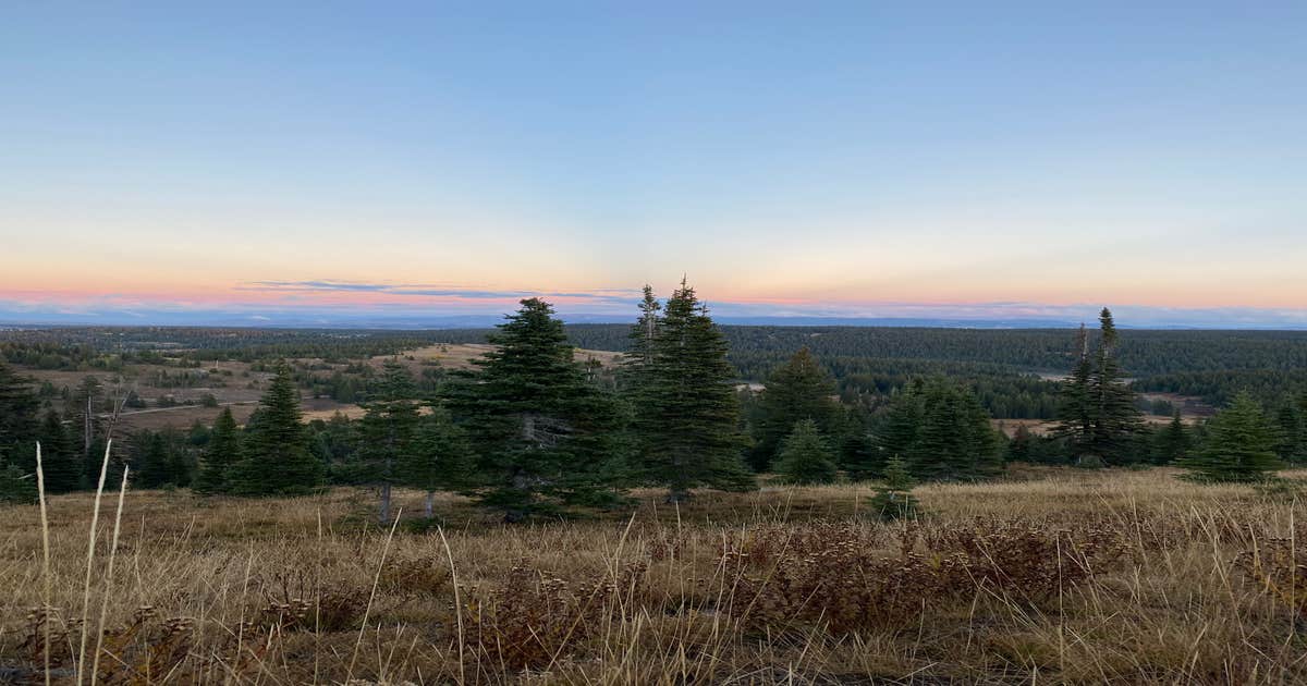 FR 302 Rabbit Ears Pass - dispersed camping | Steamboat Springs, CO