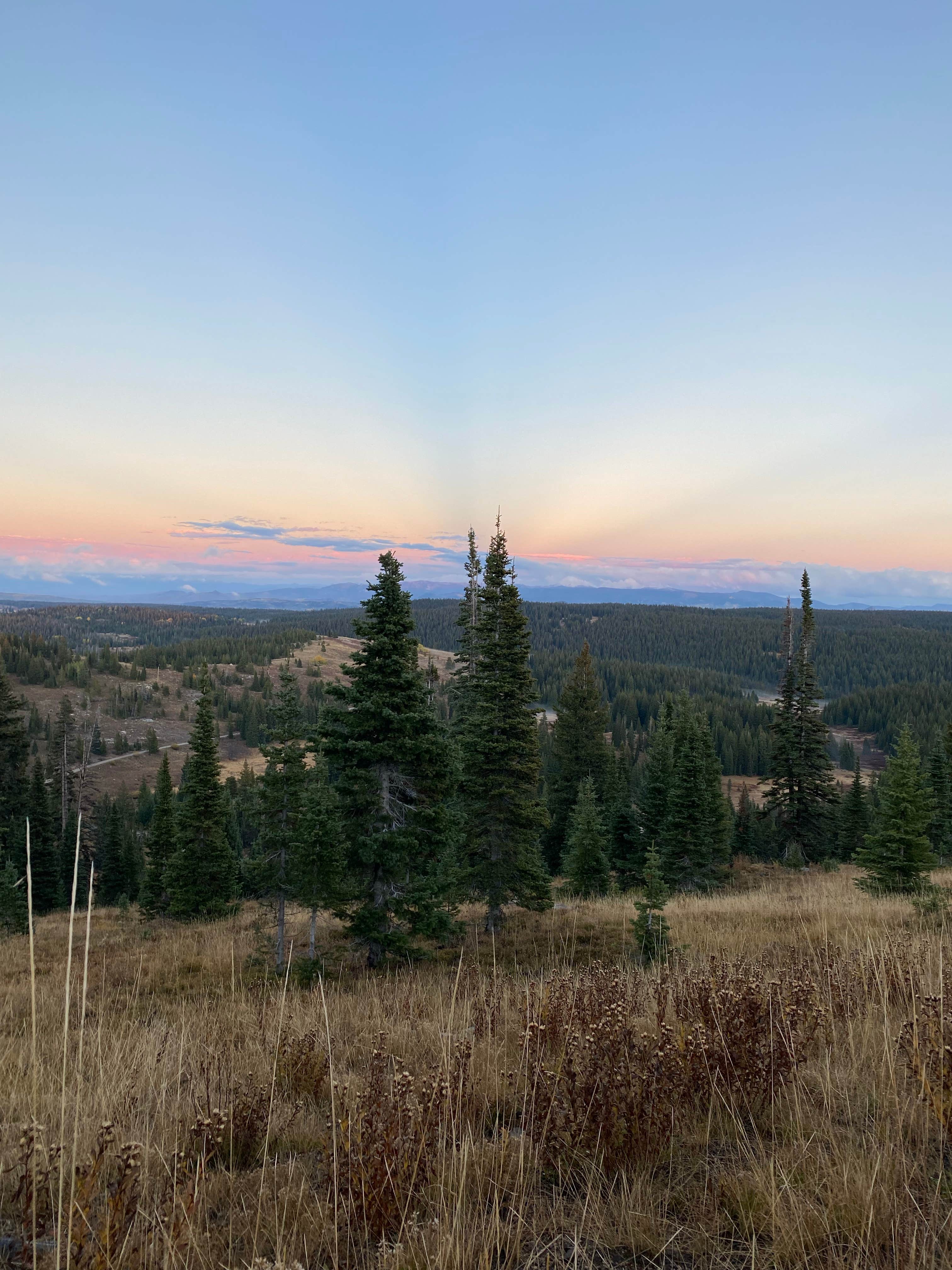 FR 302 Rabbit Ears Pass - dispersed camping | Steamboat Springs, Colorado