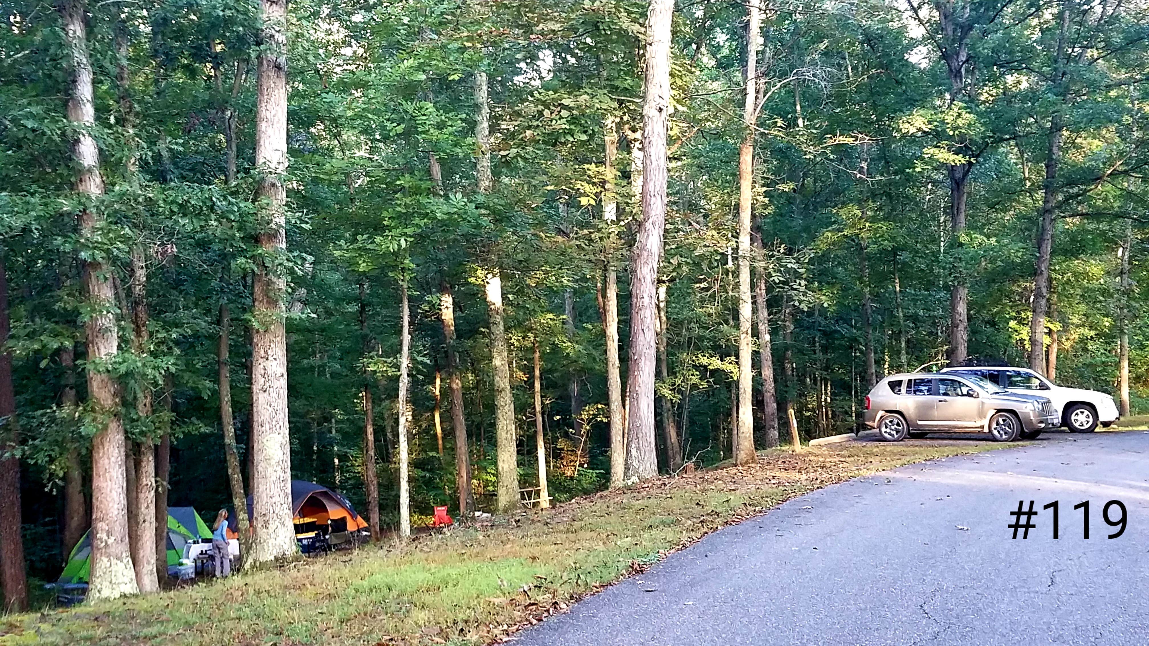 Forked Run State Park Campground | Long Bottom, OH