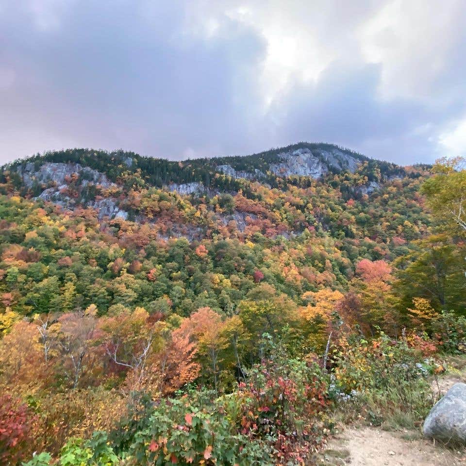 Toad Hill Camping | Chatham, NH