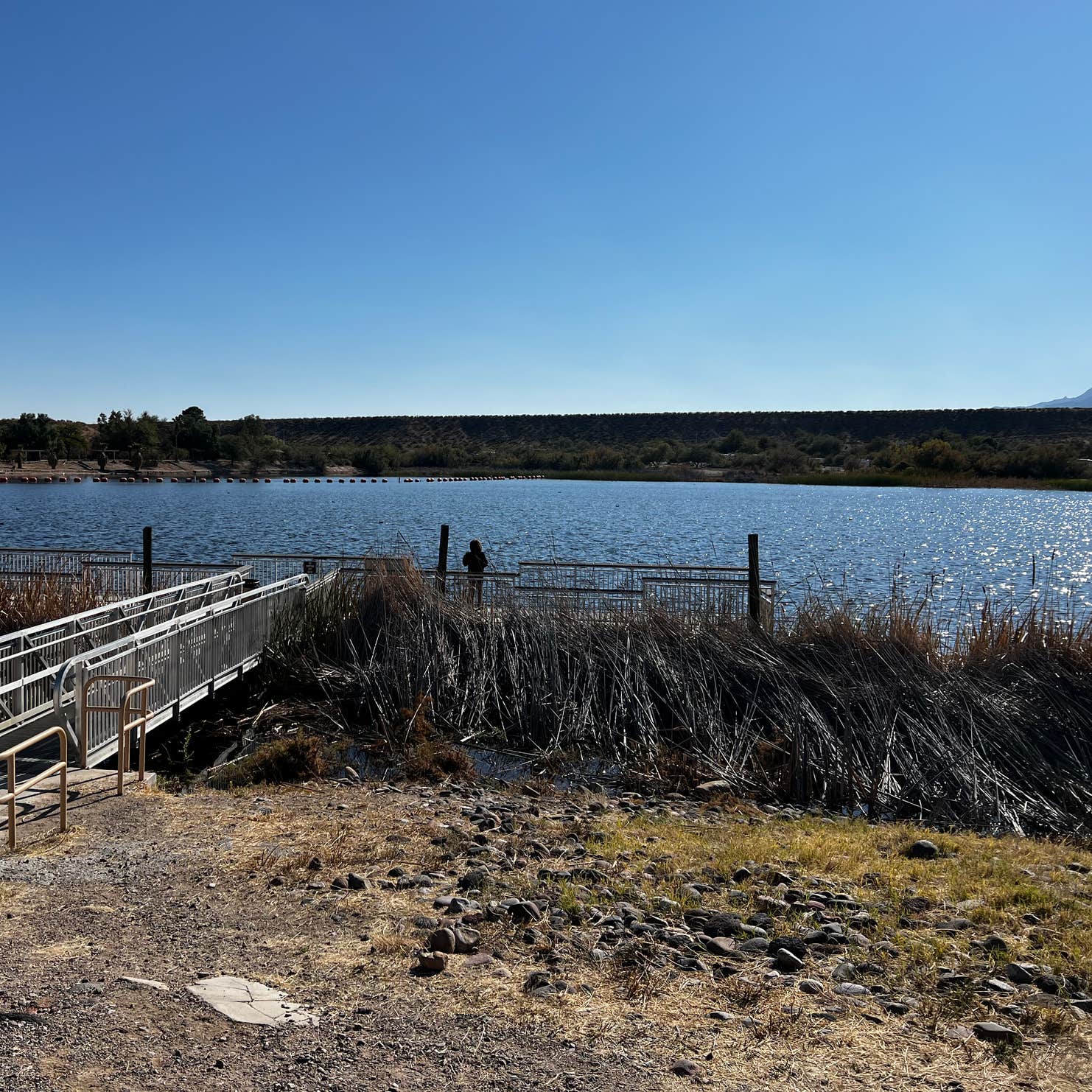 Roper Lake State Park Campground | Safford, AZ
